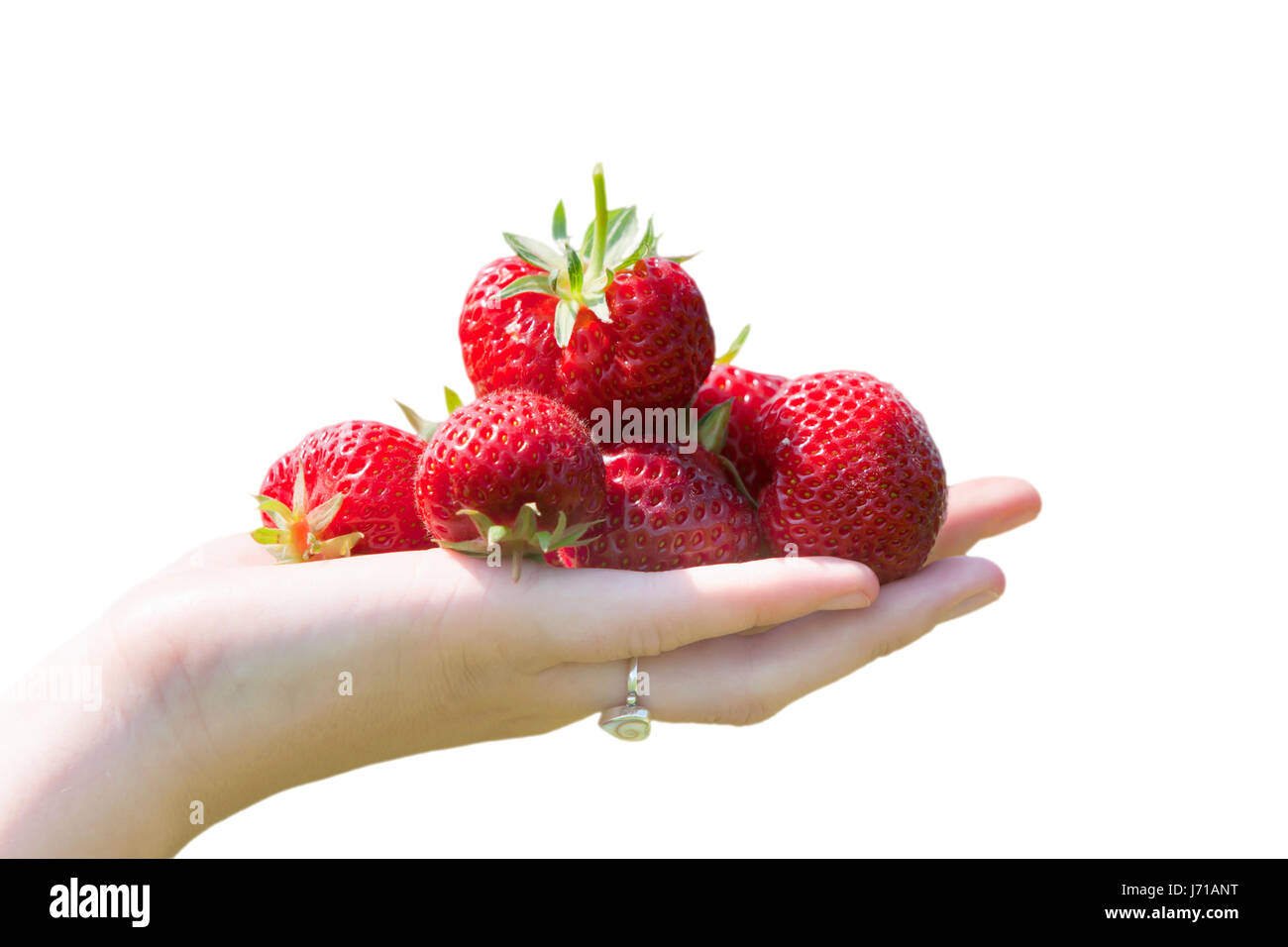 hand finger skin progenies fruits fruit hold strawberries fresh ring ...