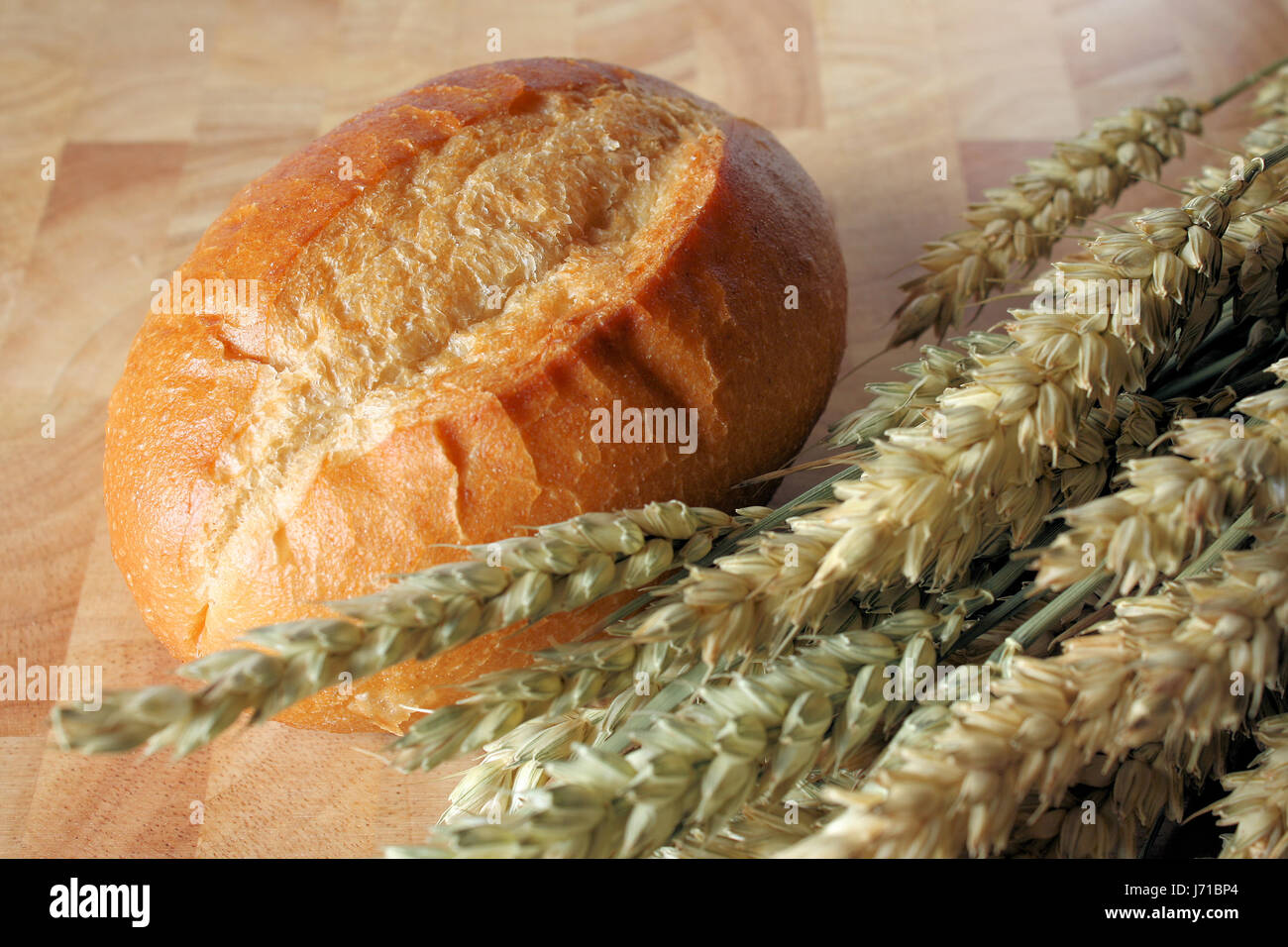 wheat ear roll kaiser grain cereal food aliment wood ripe pastry wheat ...
