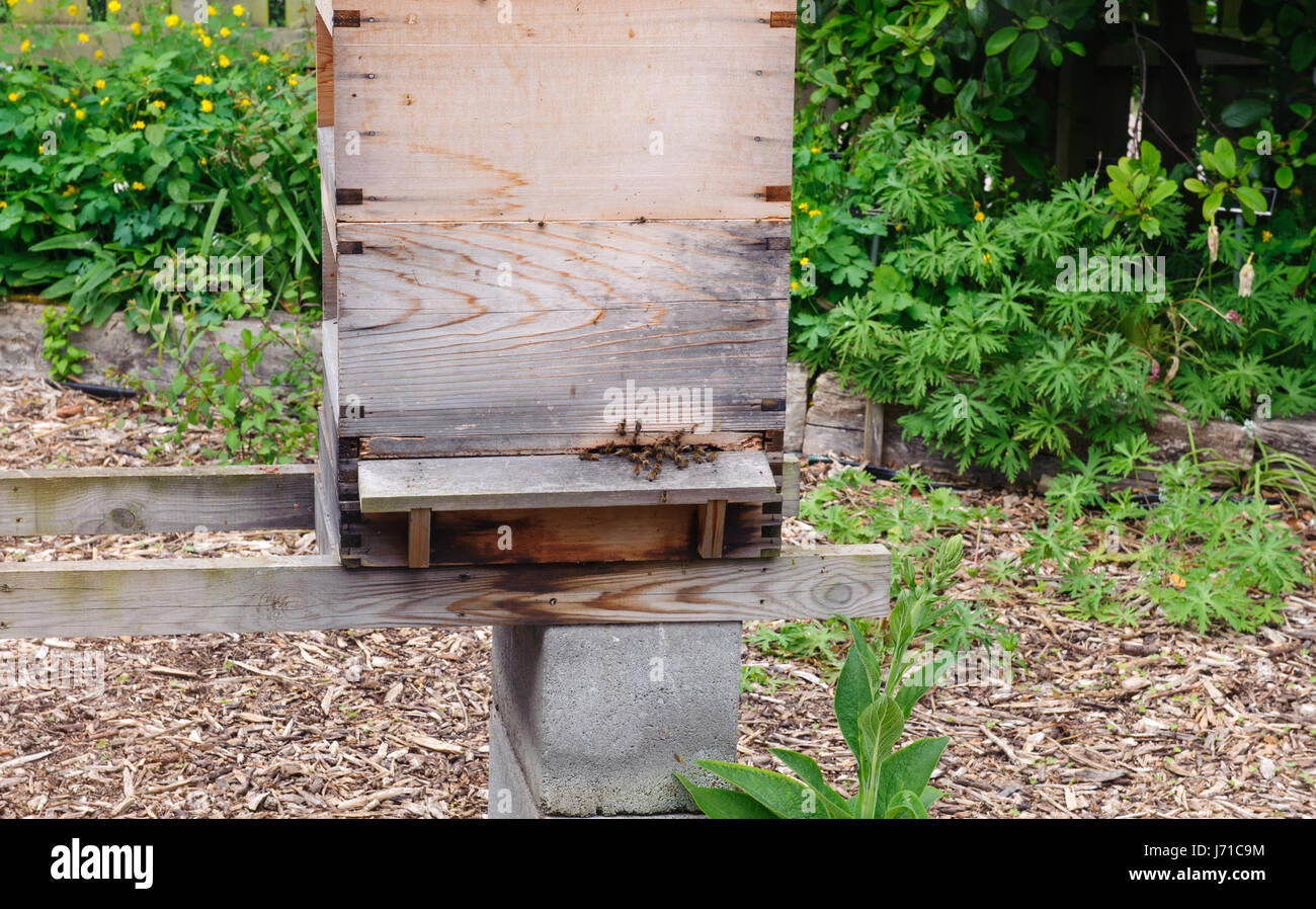 Breeding boxes hi-res stock photography and images - Alamy
