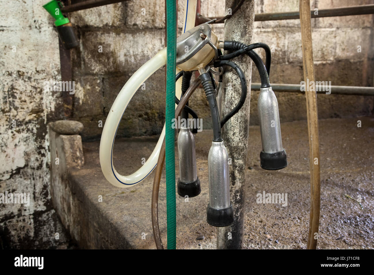 concrete horizontal cow hose implement country dairy tool closeup ...