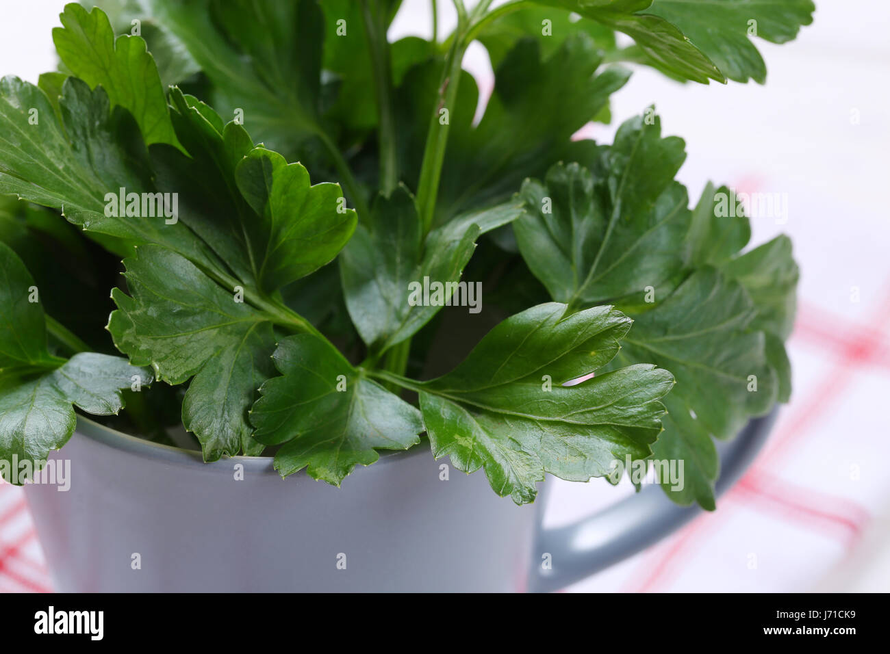 Close up fresh parsley hi-res stock photography and images - Alamy