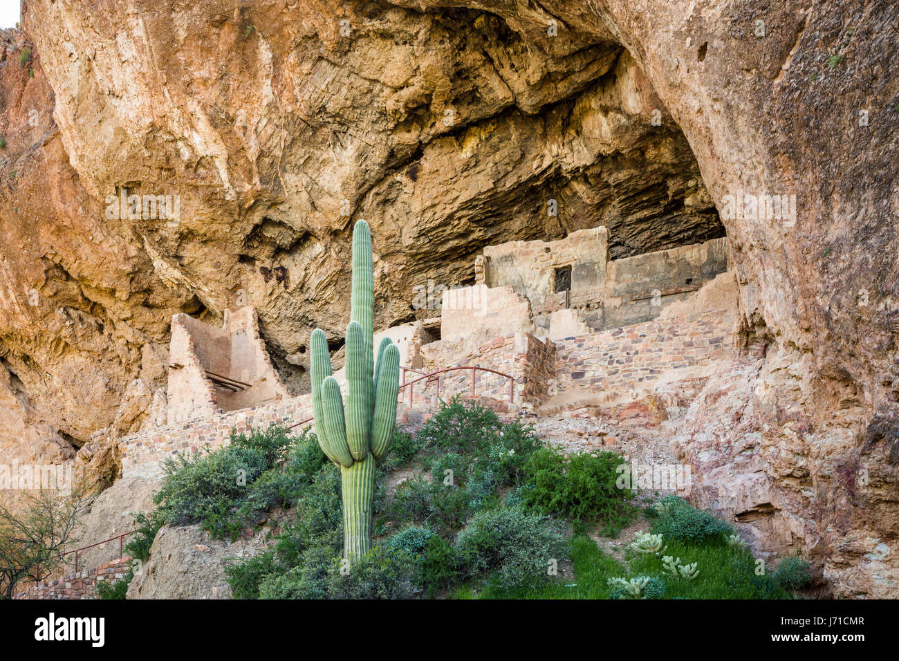 Tonto national park hi-res stock photography and images - Alamy