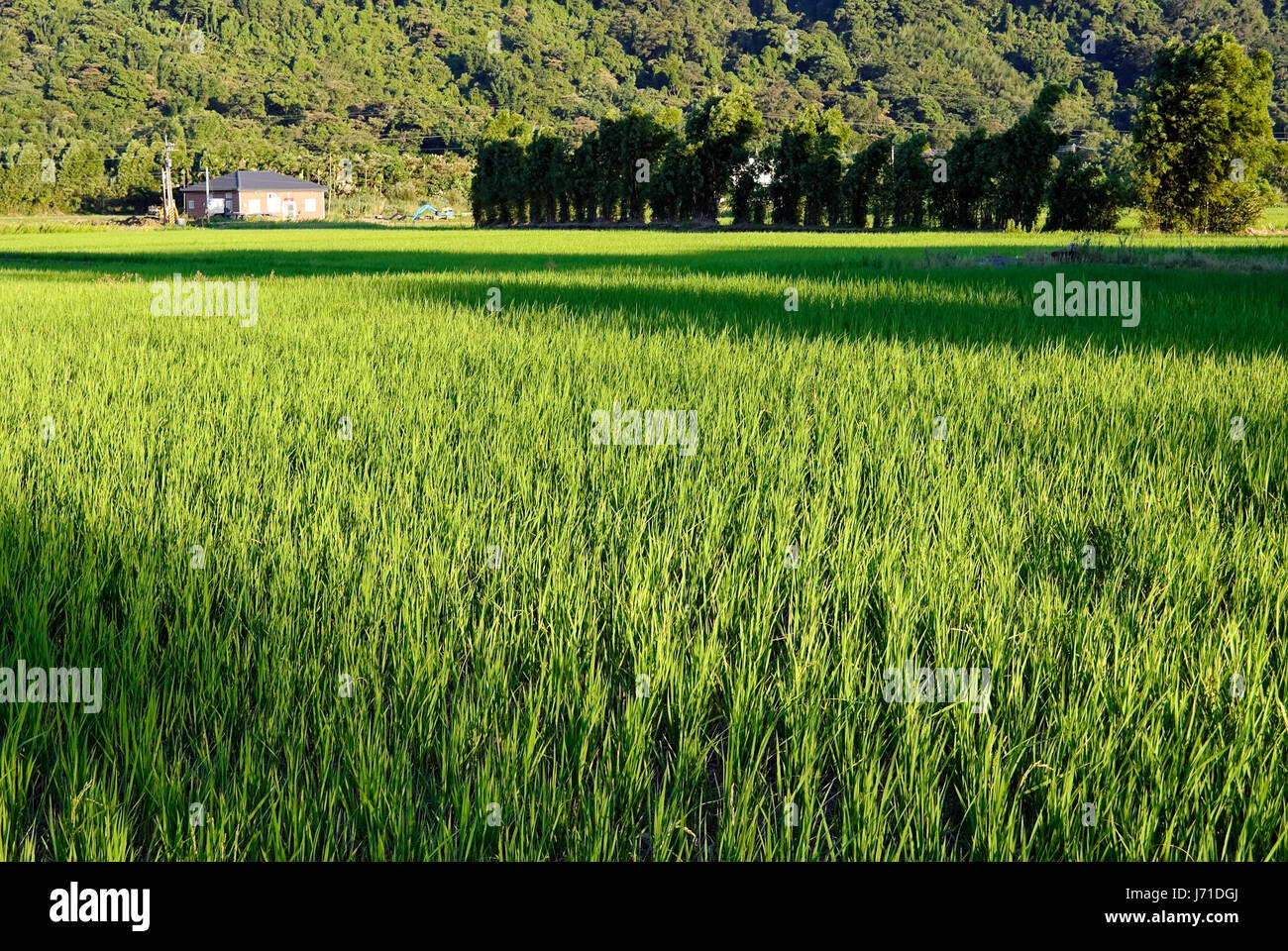 house building environment enviroment sight view outlook perspective ...