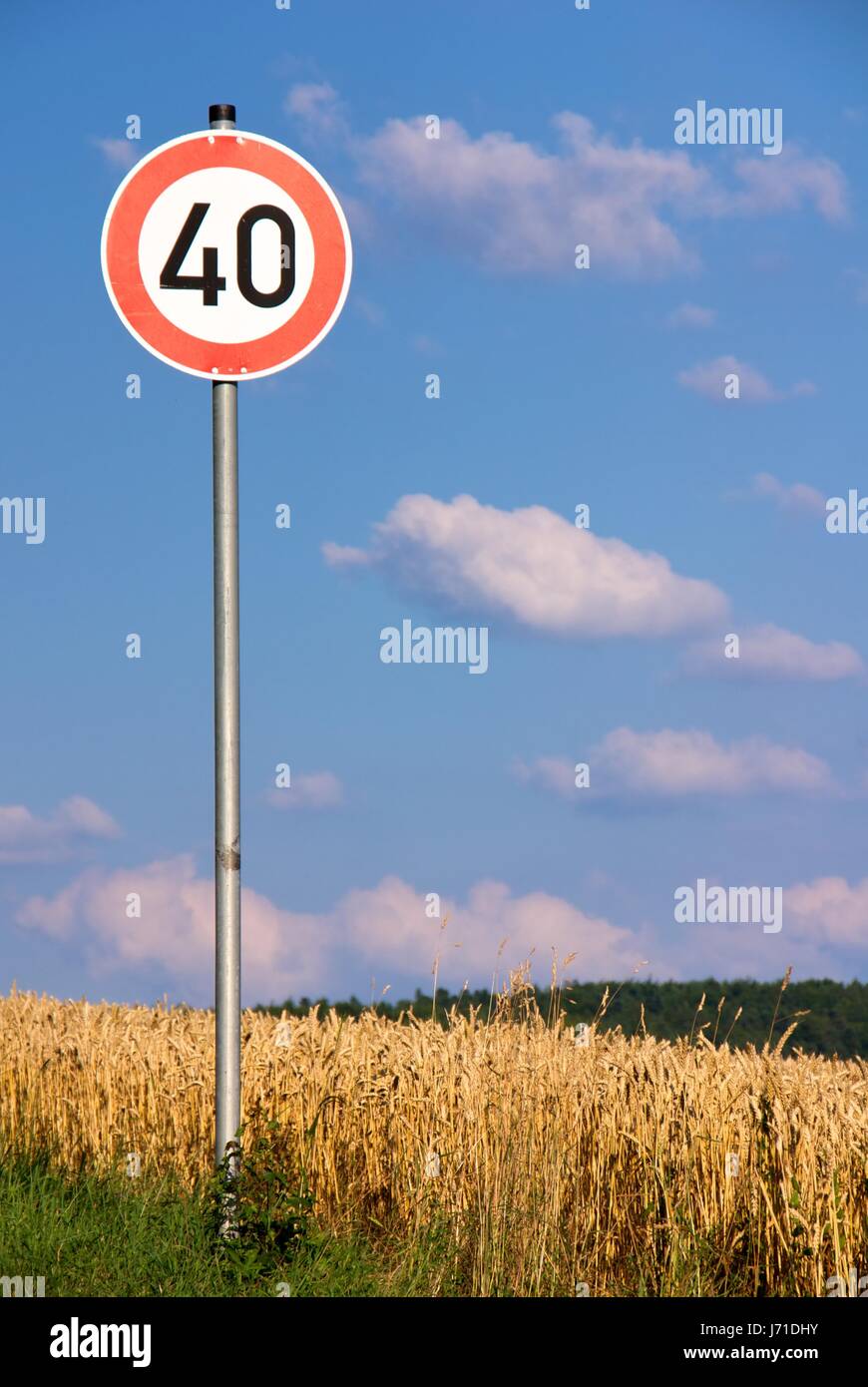 sign signal bucolic summer summerly traffic sign forty speed velocity ...