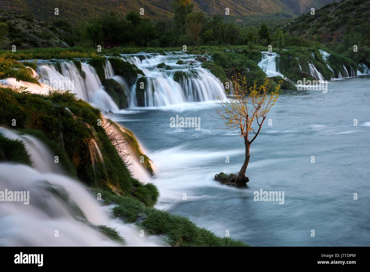 Lone tree under the falls of river Zrmanja, Croatia Stock Photo - Alamy