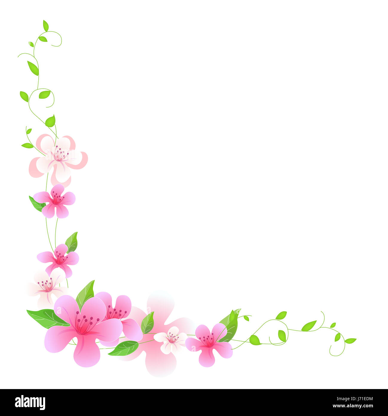 Flower Vine Drawings Border