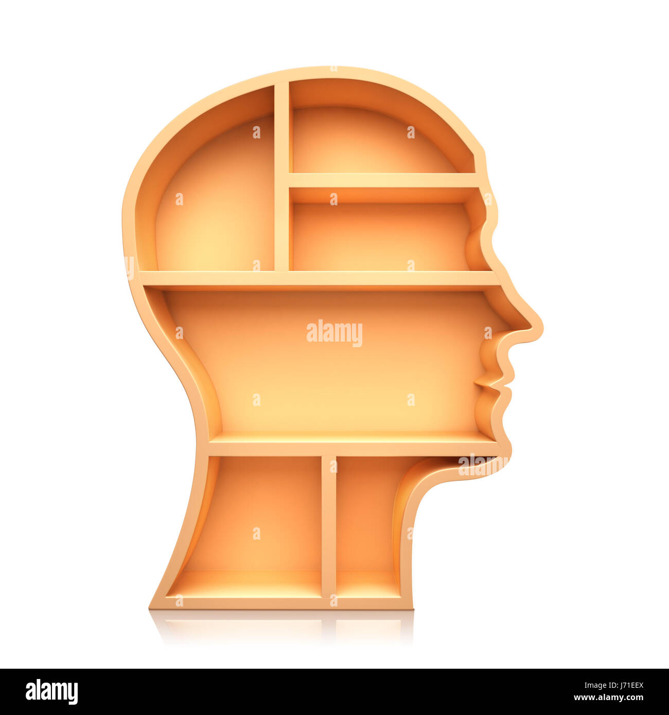 Head shape isolated on white background Stock Photo - Alamy
