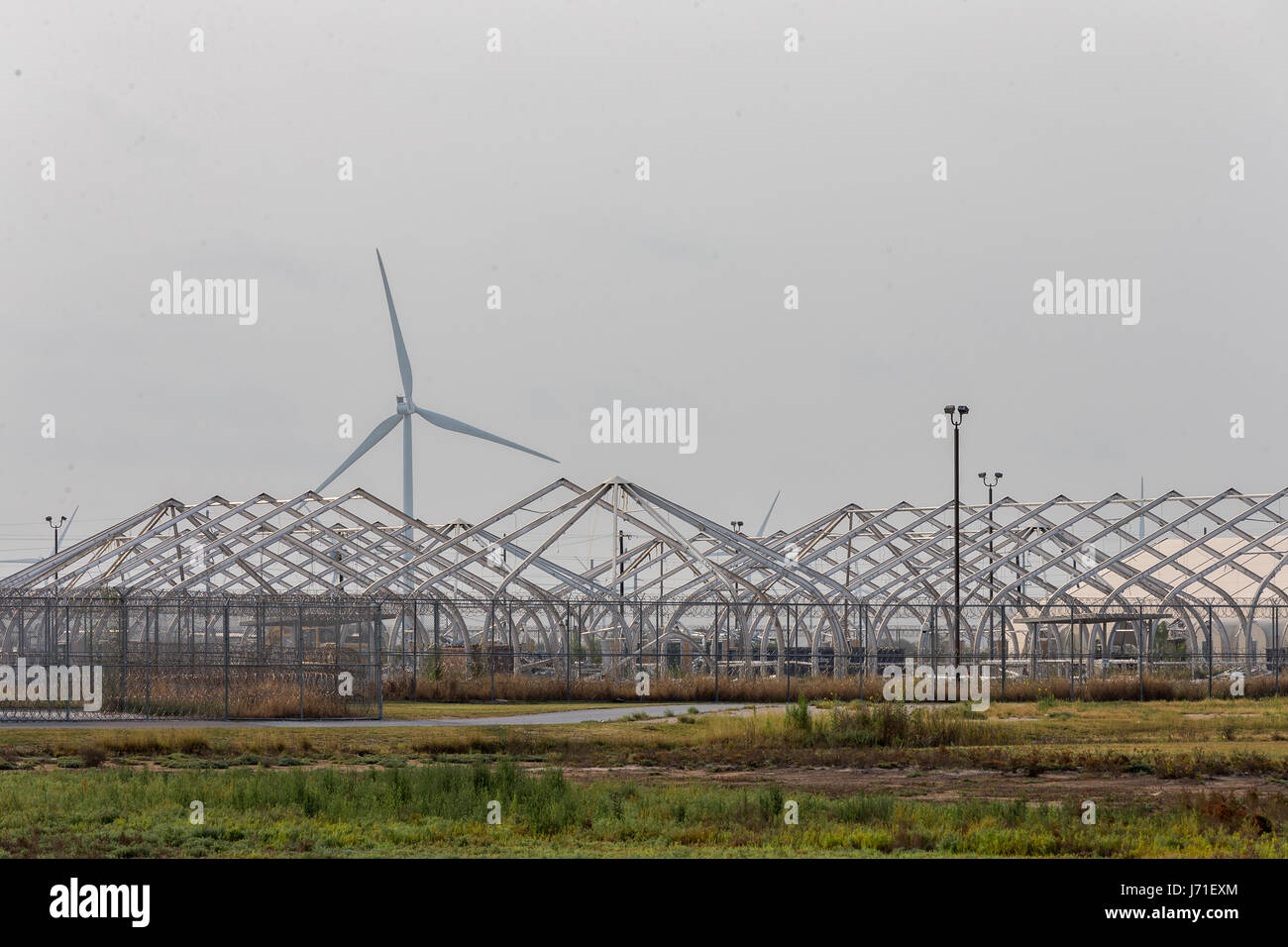 Willacy detention hi-res stock photography and images - Alamy