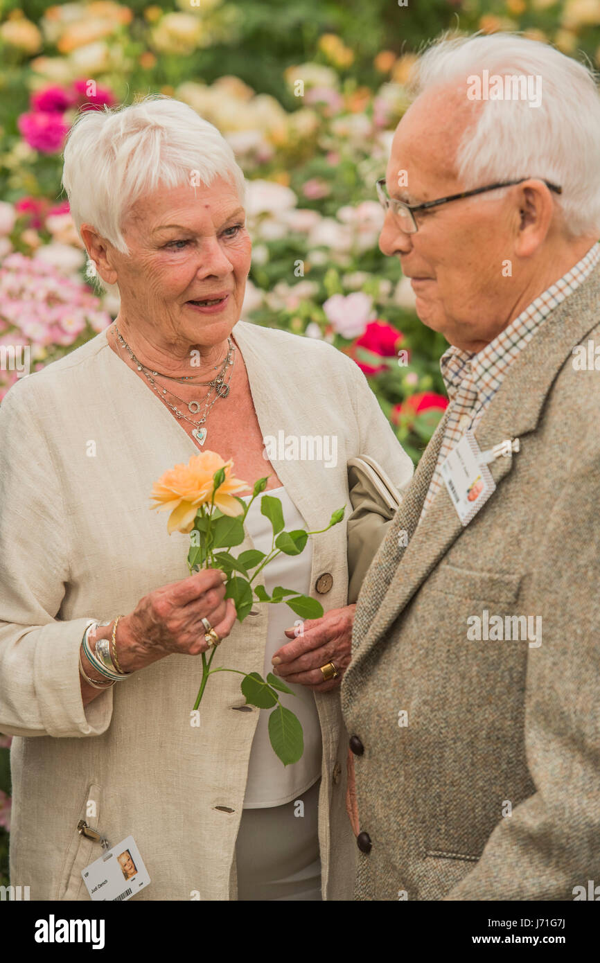 London, UK. 22nd May, 2017. Dame Judy Dench is given a rose named after ...