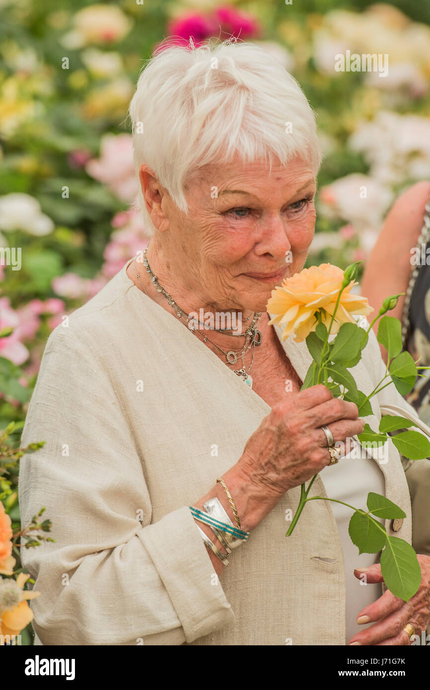London, UK. 22nd May, 2017. Dame Judy Dench is given a rose named after ...