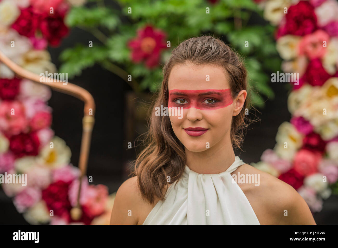 Primrose hall hi-res stock photography and images - Alamy