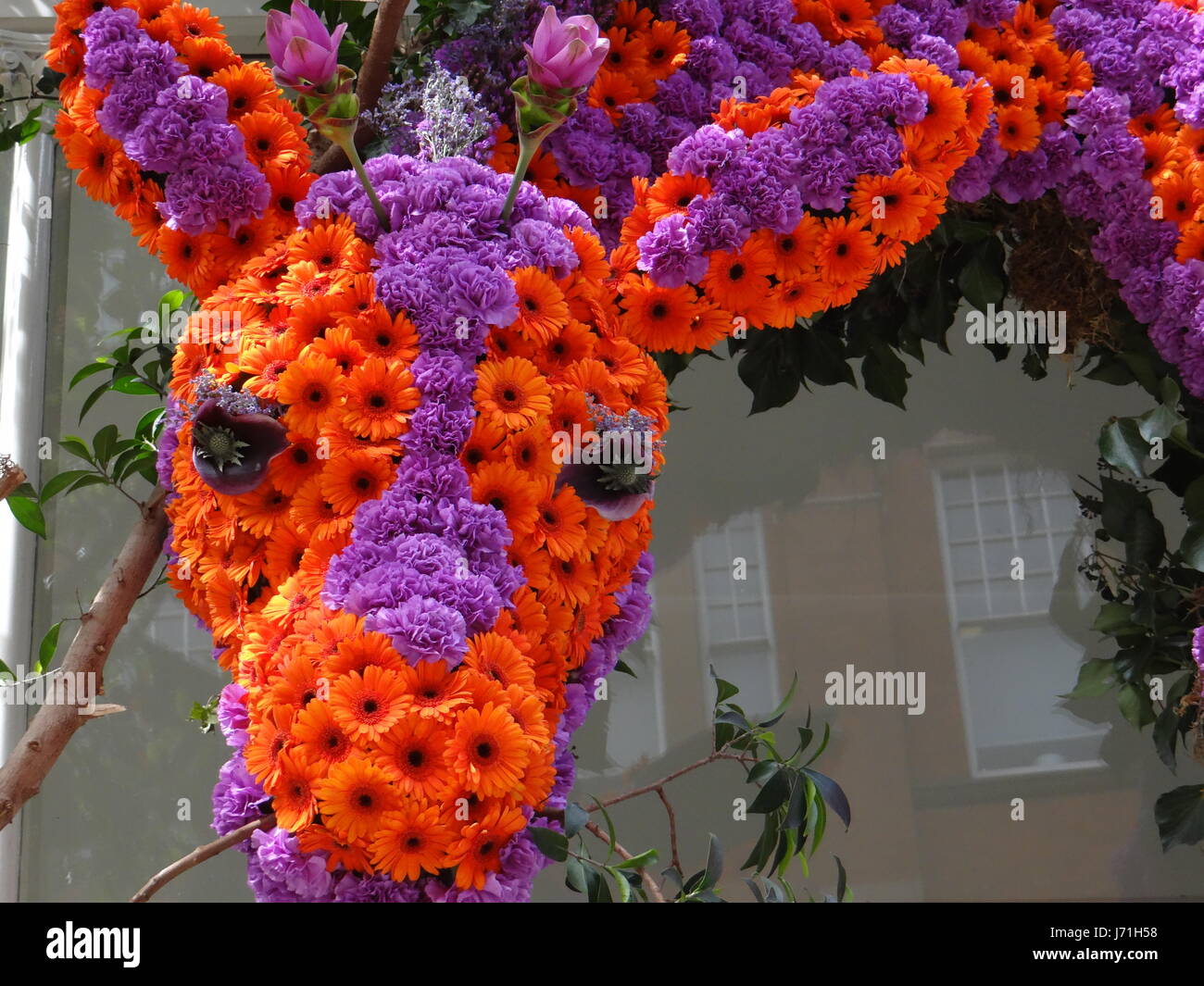 Chelsea, London, UK. 22nd May, 2017. Life-size floral animals roam ...