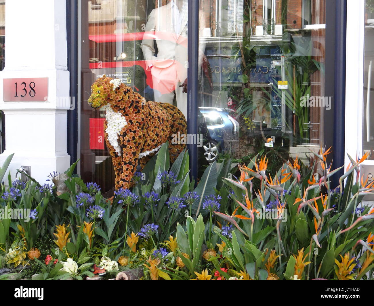 Chelsea, London, UK. 22nd May, 2017. Life-size floral animals roam ...