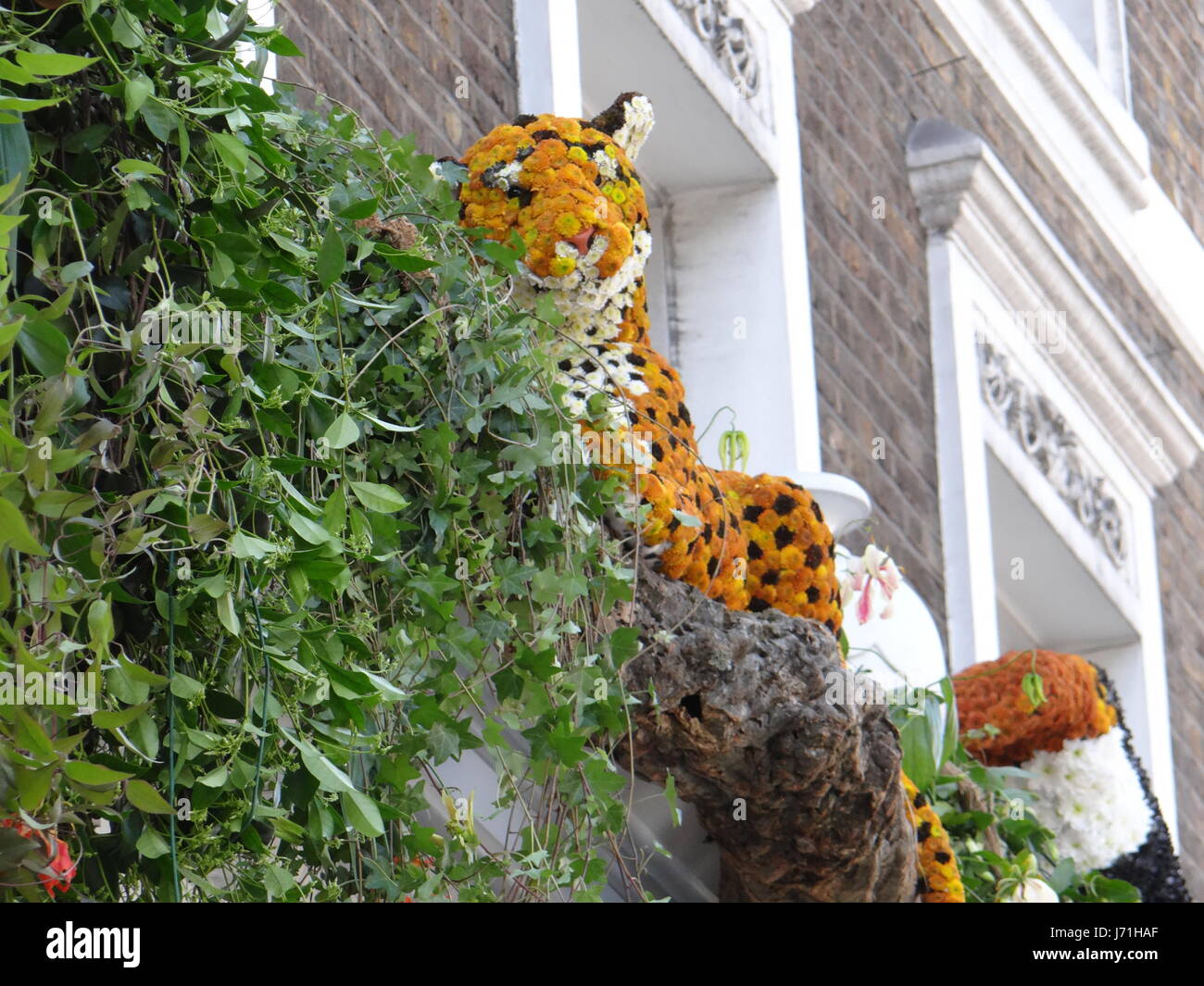 Chelsea, London, UK. 22nd May, 2017. Life-size floral animals roam ...