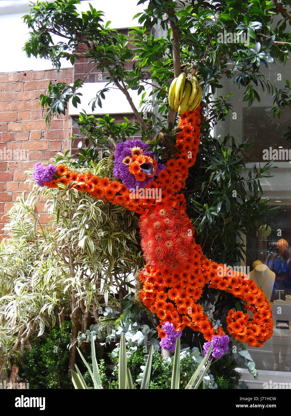 Chelsea, London, UK. 22nd May, 2017. Life-size floral animals roam ...