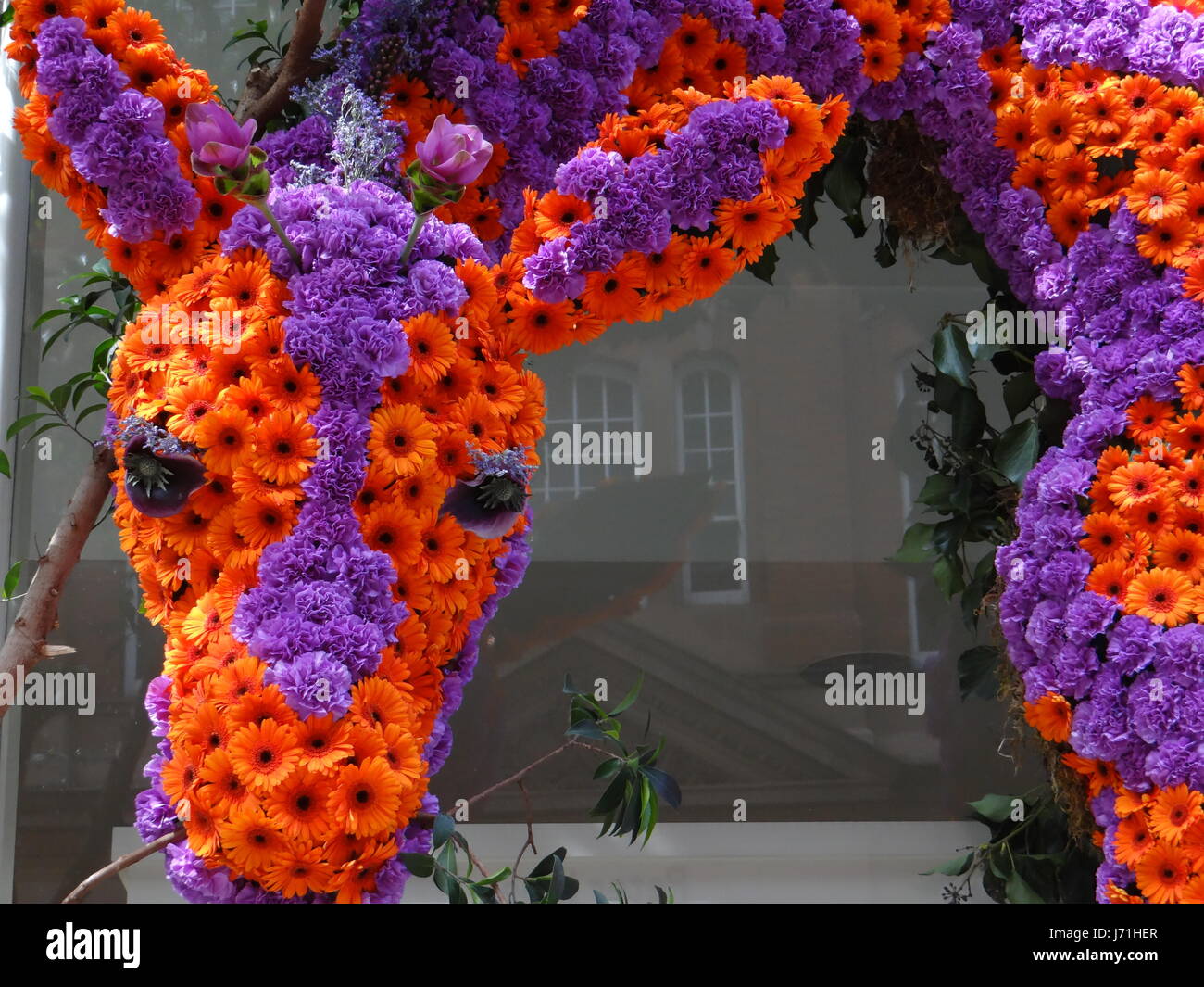 Chelsea in bloom rickshaw hi-res stock photography and images - Alamy