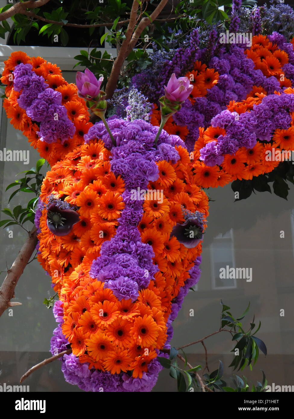 Chelsea, London, UK. 22nd May, 2017. Life-size floral animals roam ...