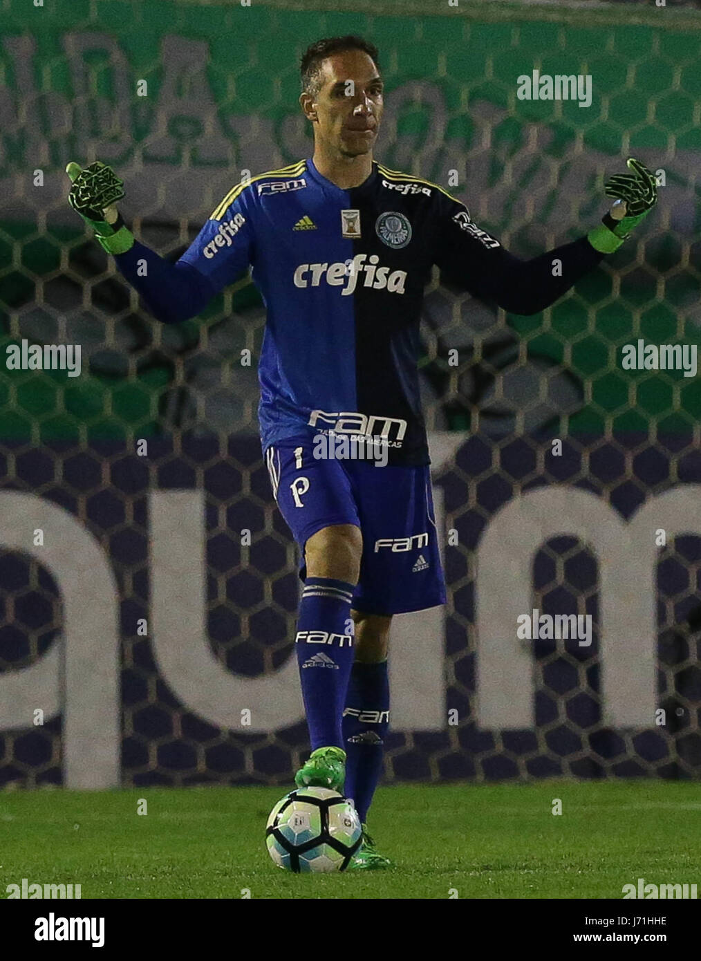 CHAPEC', SC - 20.05.2017: CHAPECOENSE X PALMEIRAS - Goalkeeper Fernando Prass of SE Palmeiras in ...