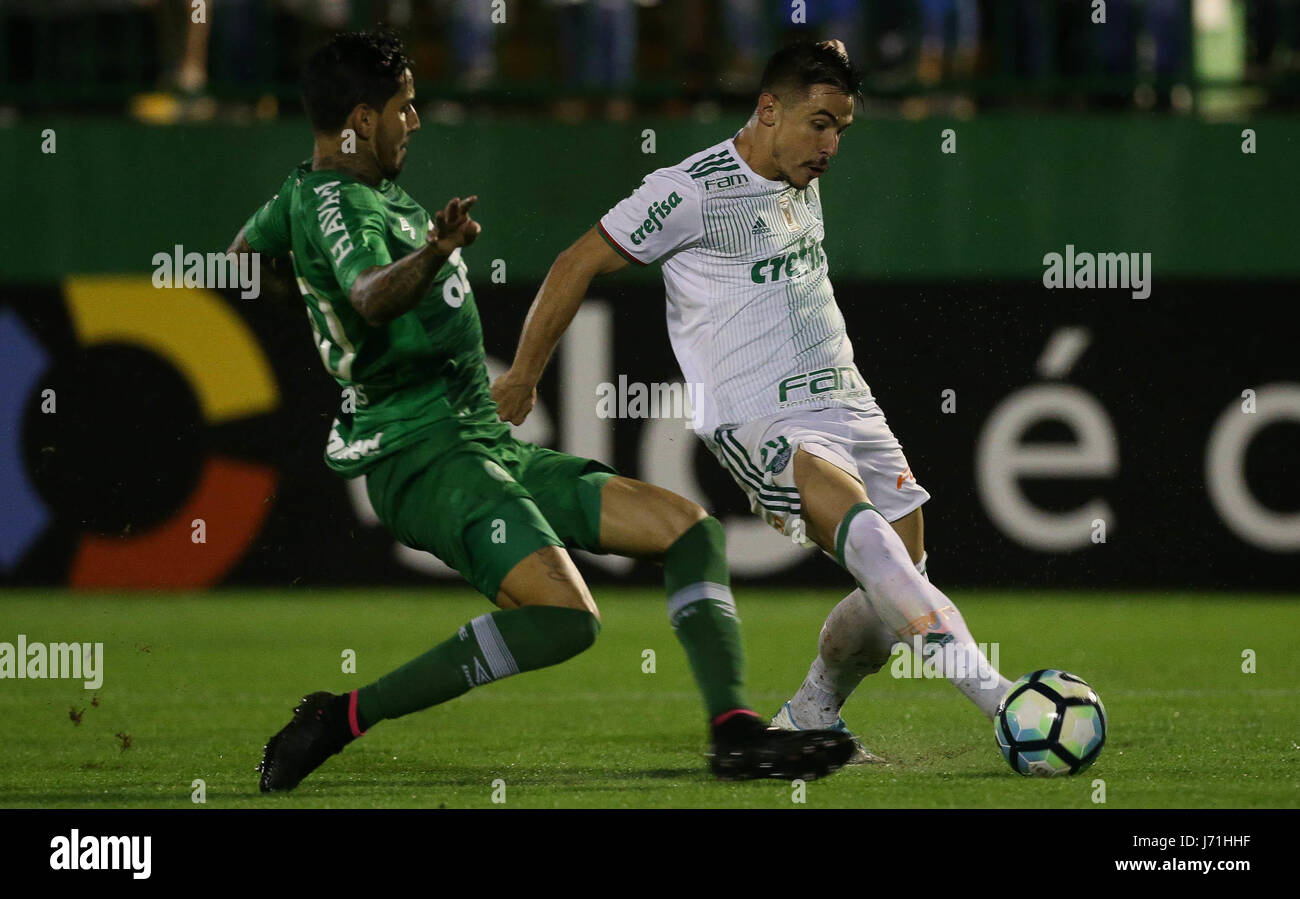 CHAPEC', SC - 20.05.2017: CHAPECOENSE X PALMEIRAS - SE Palmeiras's Williin will play with A ...