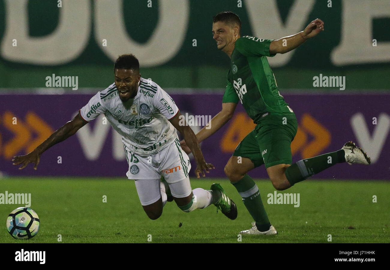 CHAPEC', SC - 20.05.2017: CHAPECOENSE X PALMEIRAS - The player Michel Bastos, of SE Palmeiras ...