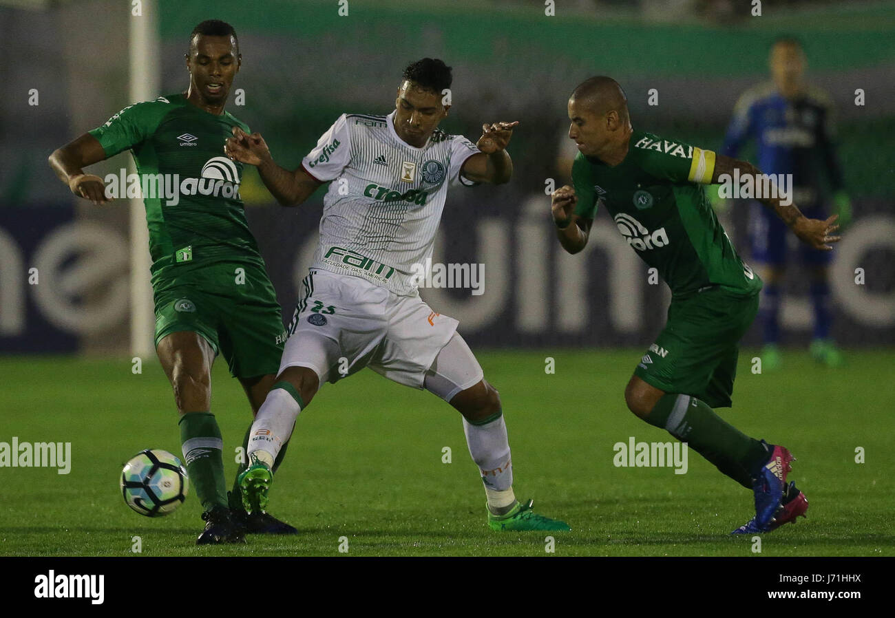 CHAPEC', SC - 20.05.2017: CHAPECOENSE X PALMEIRAS - The player Antonio Carlos, from SE Palmeiras ...