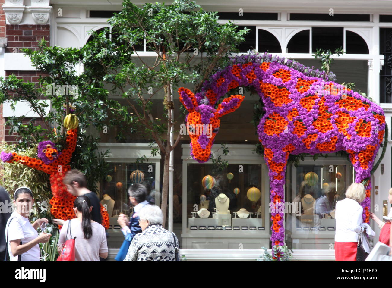 Chelsea in bloom rickshaw hi-res stock photography and images - Alamy