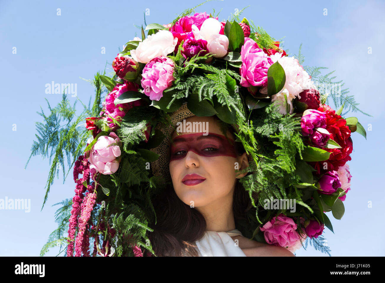 Primrose hall hi-res stock photography and images - Alamy