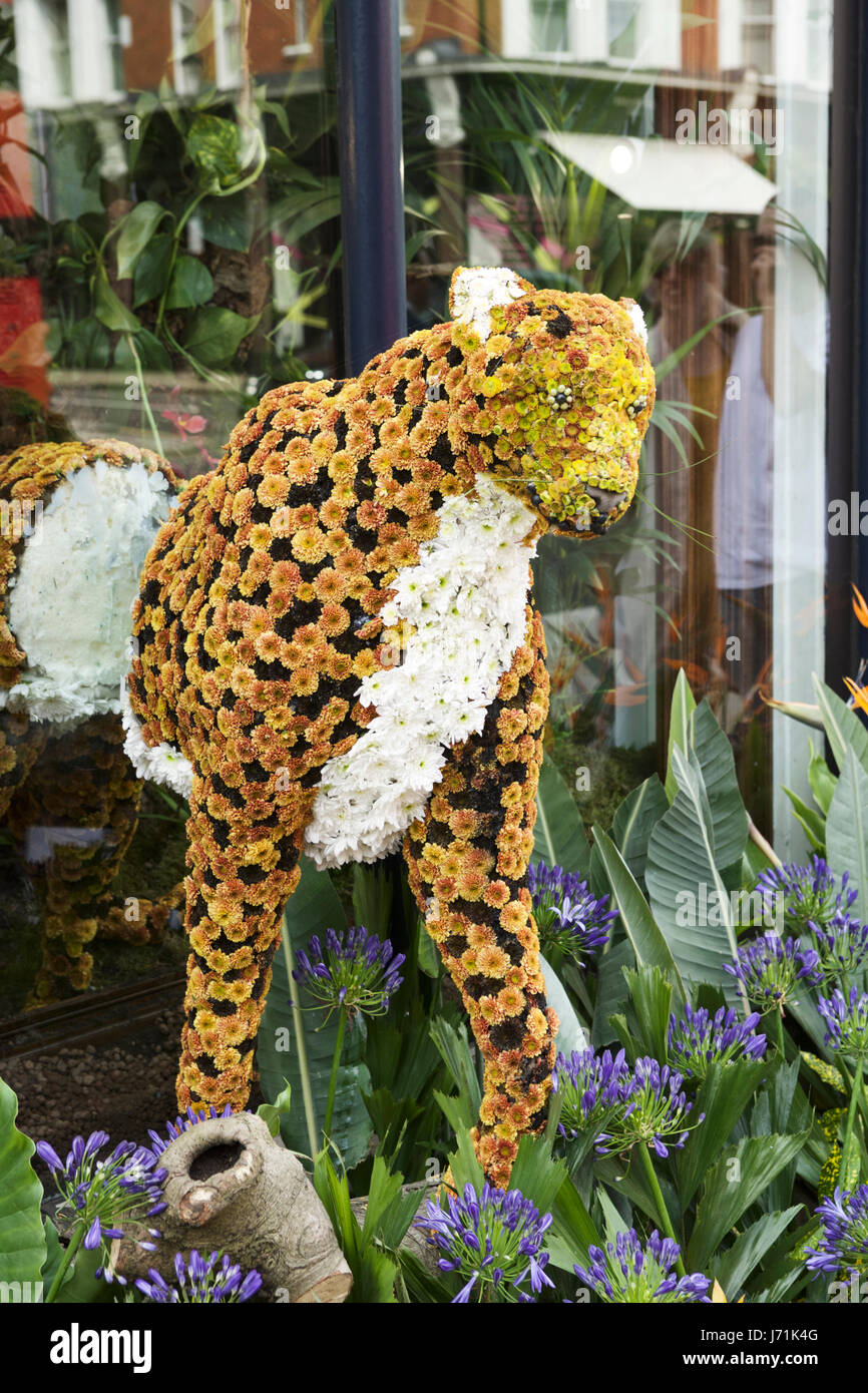 Tony sloan hi-res stock photography and images - Alamy