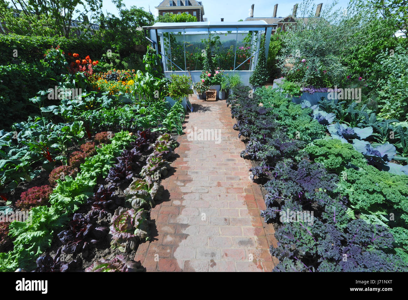 London, UK. 22nd May, 2017. The Chris Evans Taste Garden (designed by ...