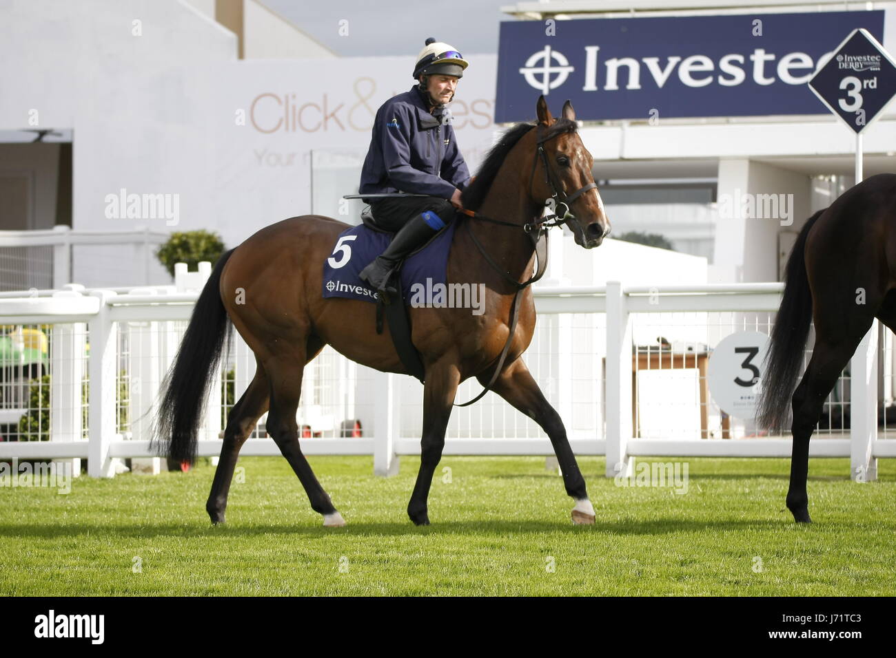 Famous Hunter Horses