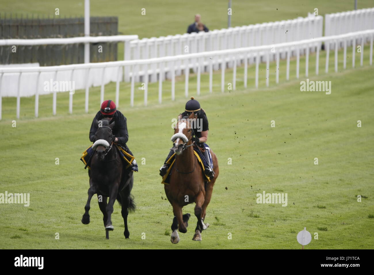 Epsom, Surrey, UK 23rd May, 2017 Elbereth right (Leanne Masterton up ...