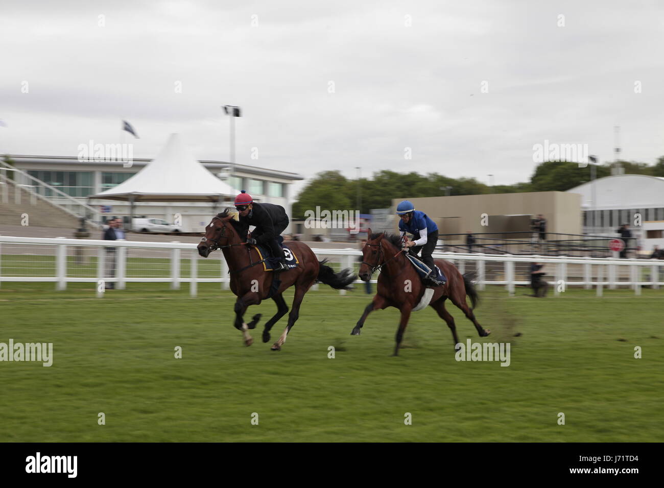 Willie ryan up hi-res stock photography and images - Alamy