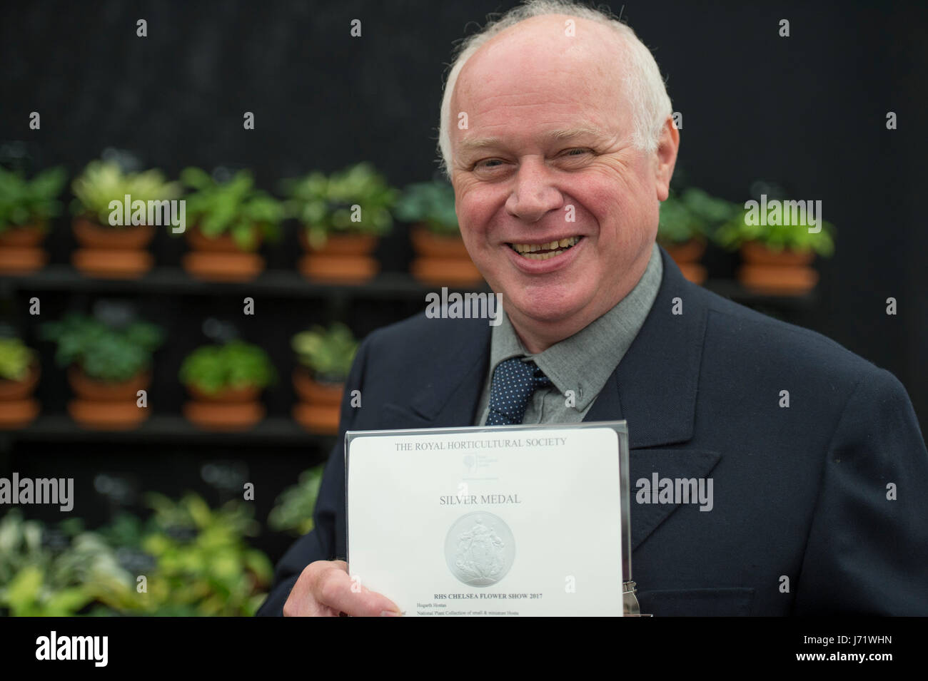 National collection of small and miniature hostas hi-res stock ...