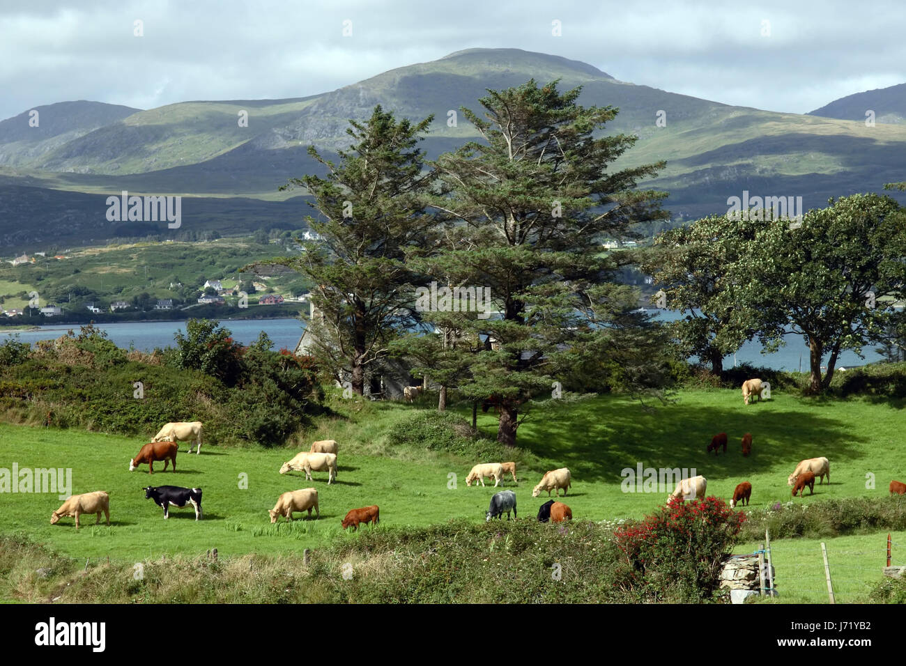 Village market rural ireland hi-res stock photography and images - Alamy