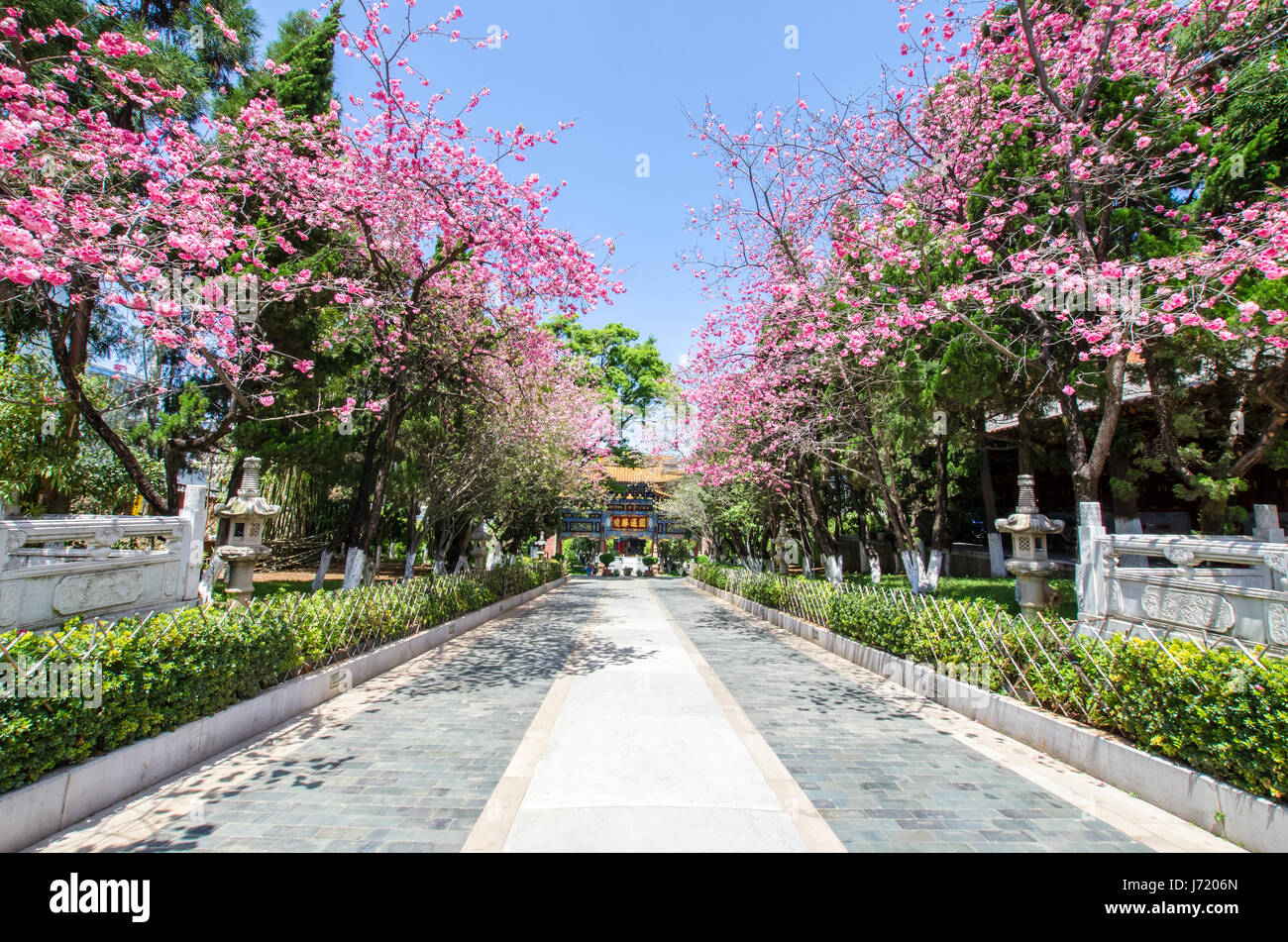 Kunming,Yunnan - April 8,2017 :Yuantong Temple is the most famous ...