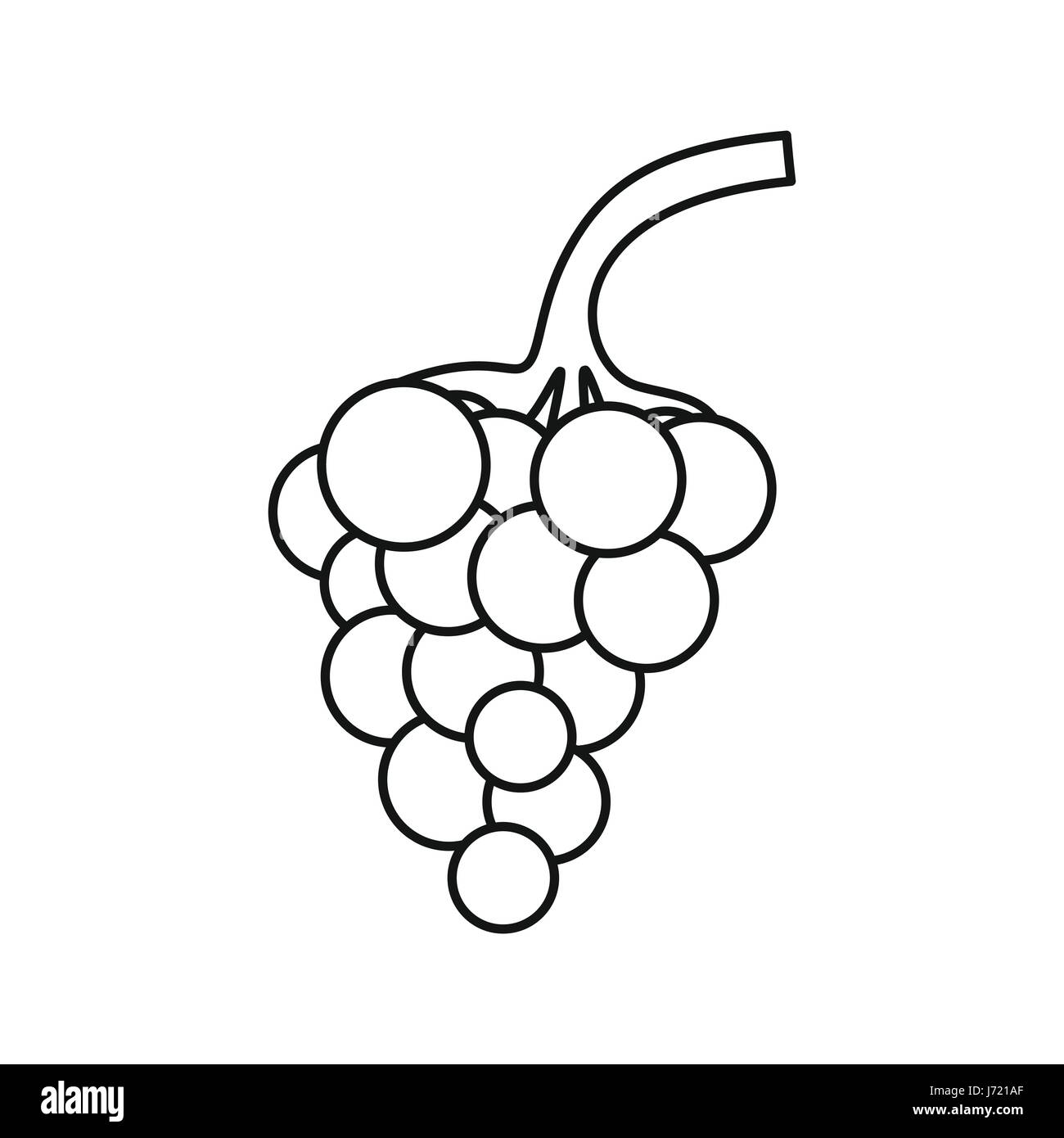 Bunch of grapes icon, outline style Stock Vector Image & Art - Alamy