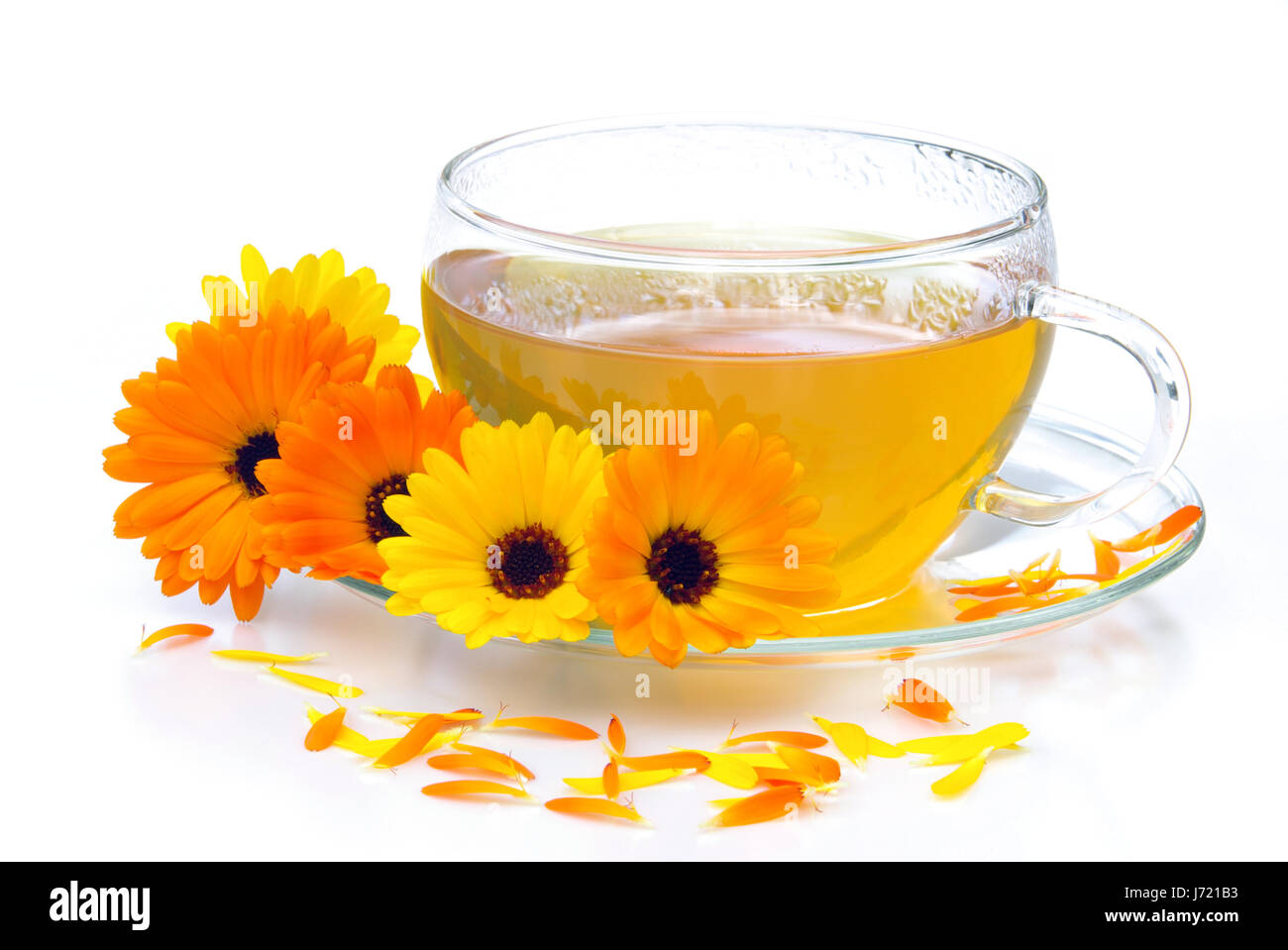 tea marigold - tea marigold 07 Stock Photo - Alamy