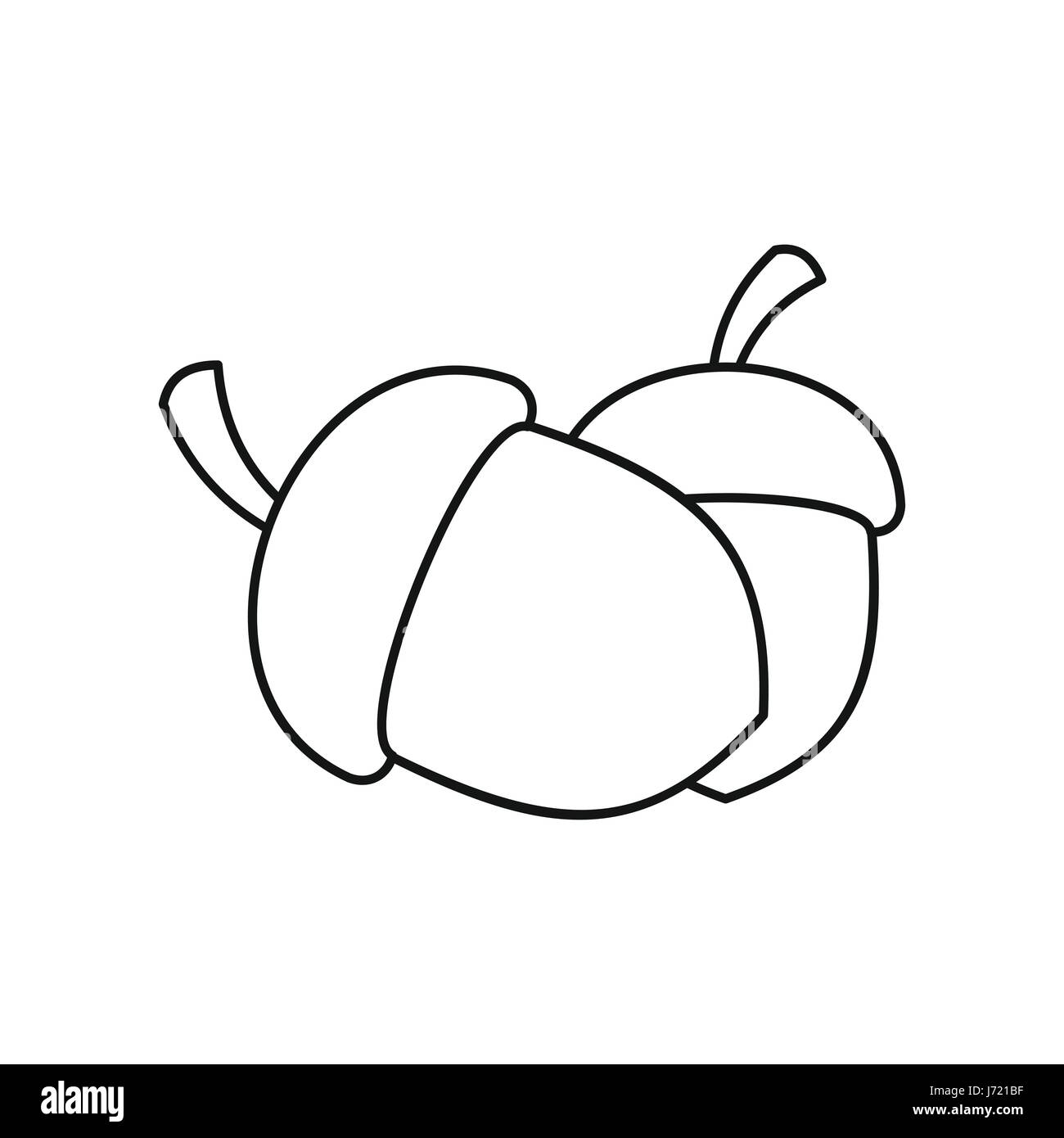 Two acorn icon, outline style Stock Vector Image & Art - Alamy Two acorn icon, outline style Stock Vector Image & Art - Alamy