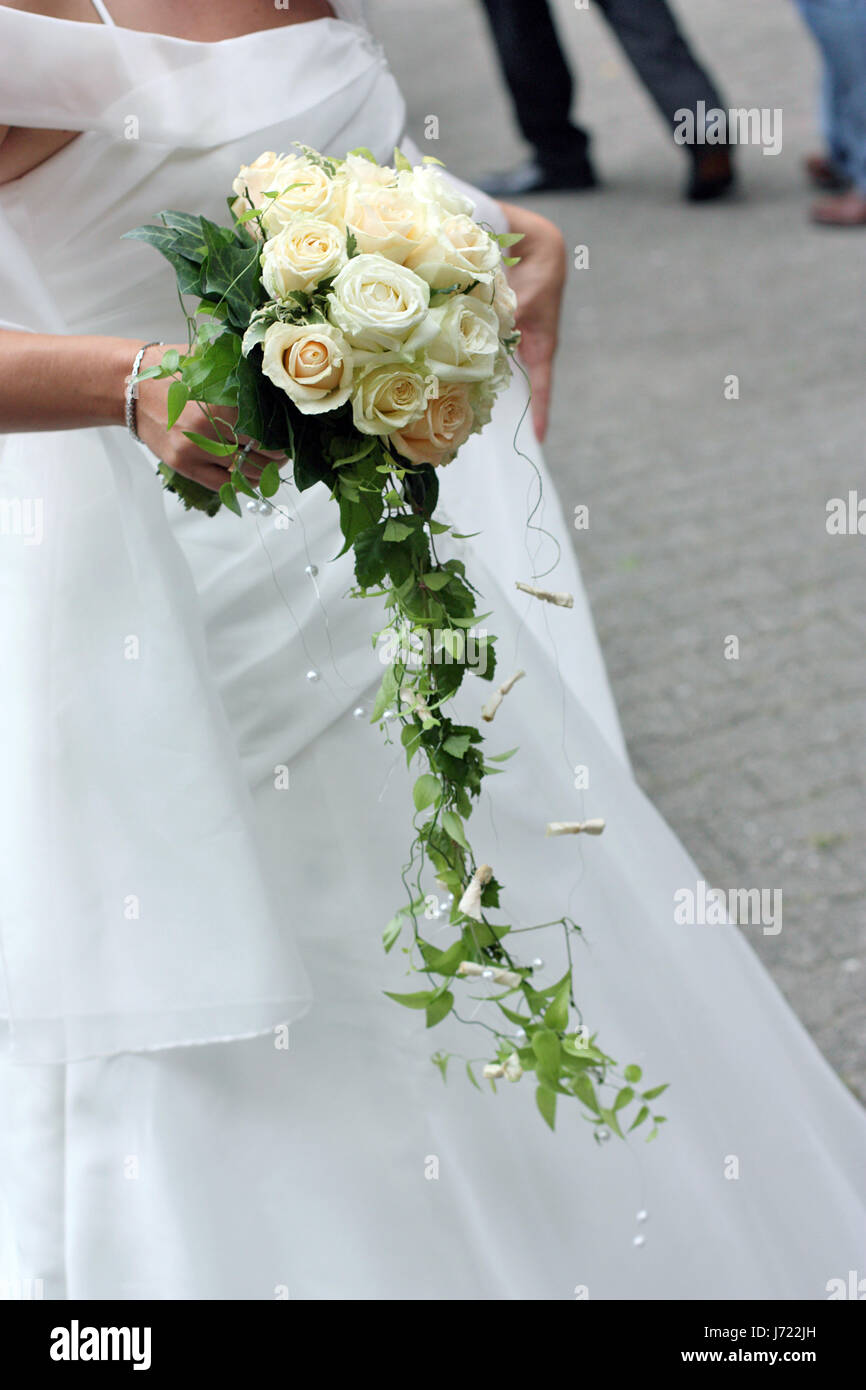 flower rose plant wedding marriage marriage ceremony wedding ceremony ...