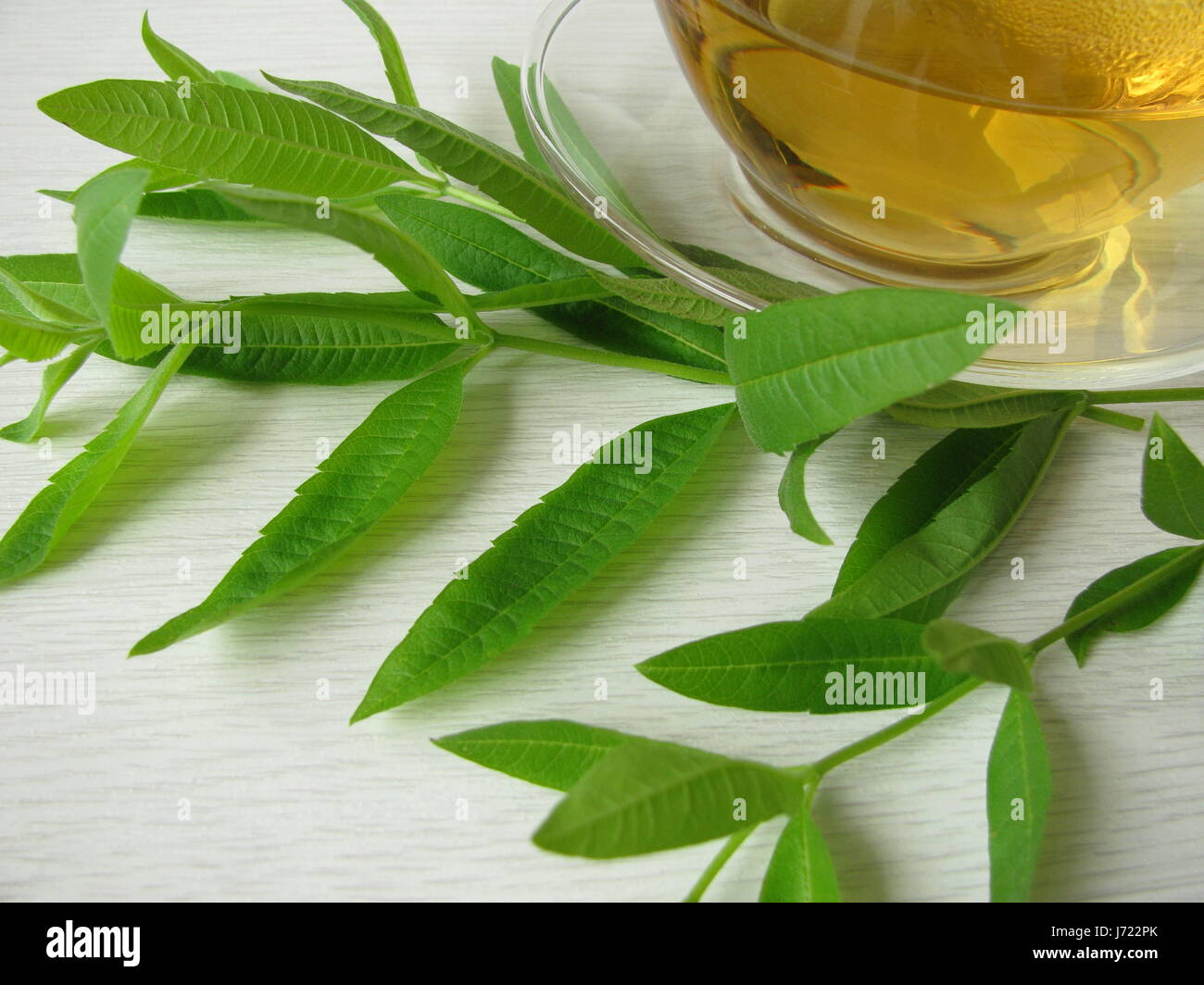 tea with lemon verbena Stock Photo - Alamy