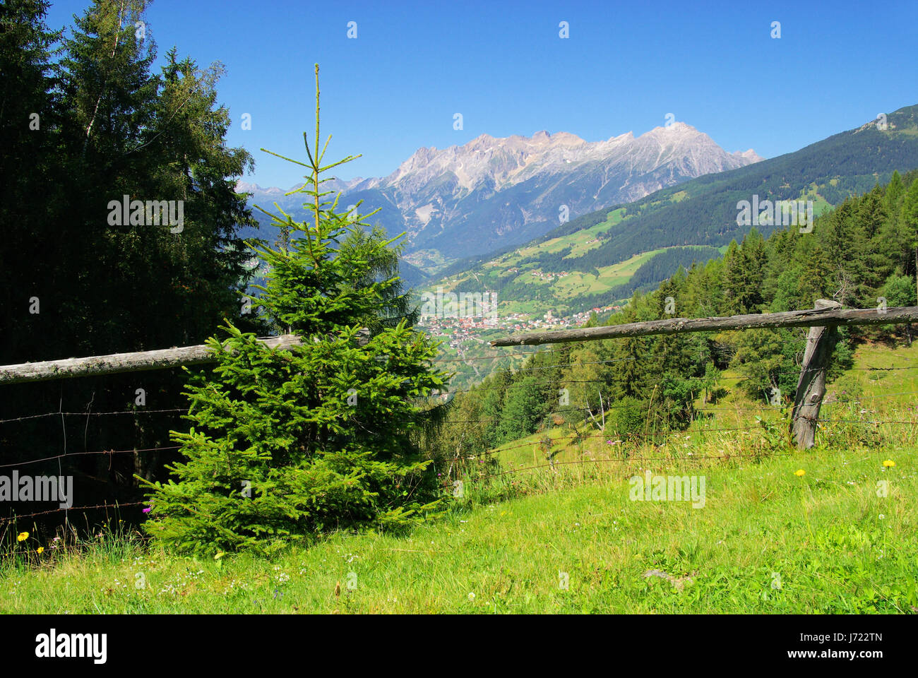 alps alp tyrol meadow grass lawn green willow blue travel tree green ...