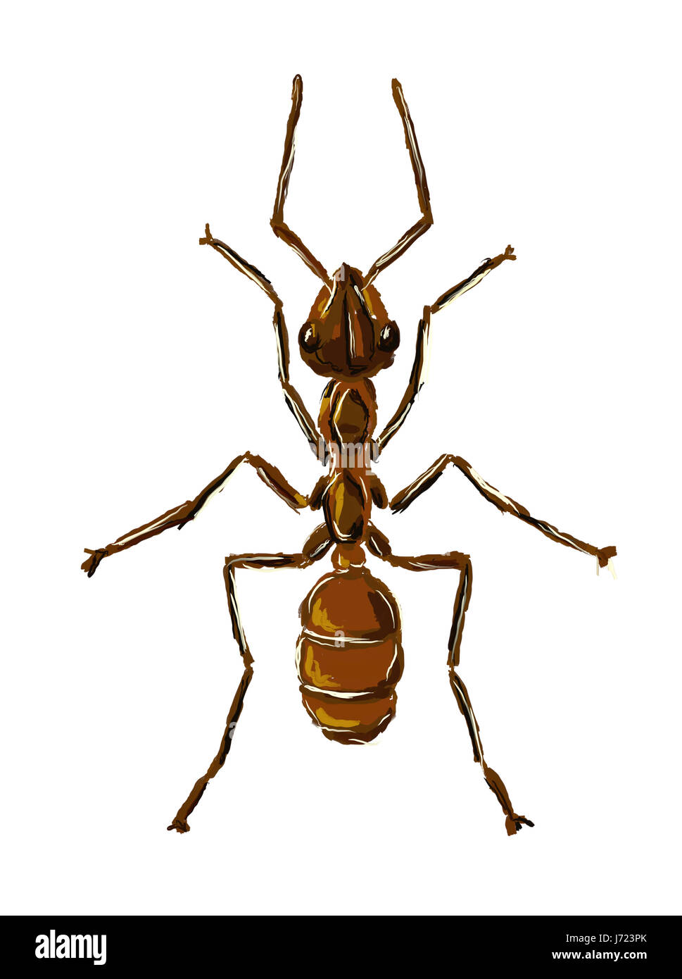 Crawling ant Cut Out Stock Images & Pictures - Alamy