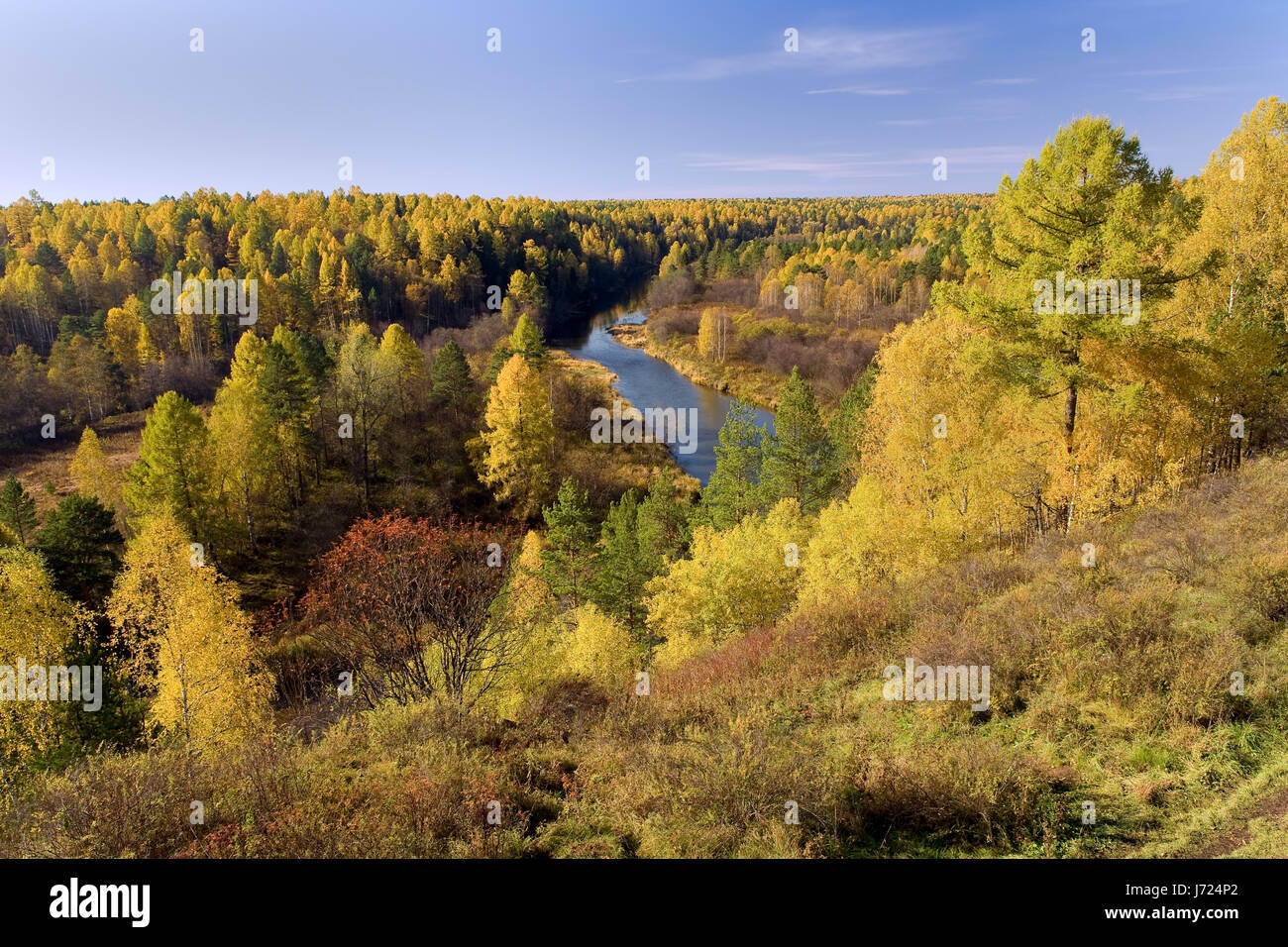 freedom liberty area october season piece section segment part forest ...