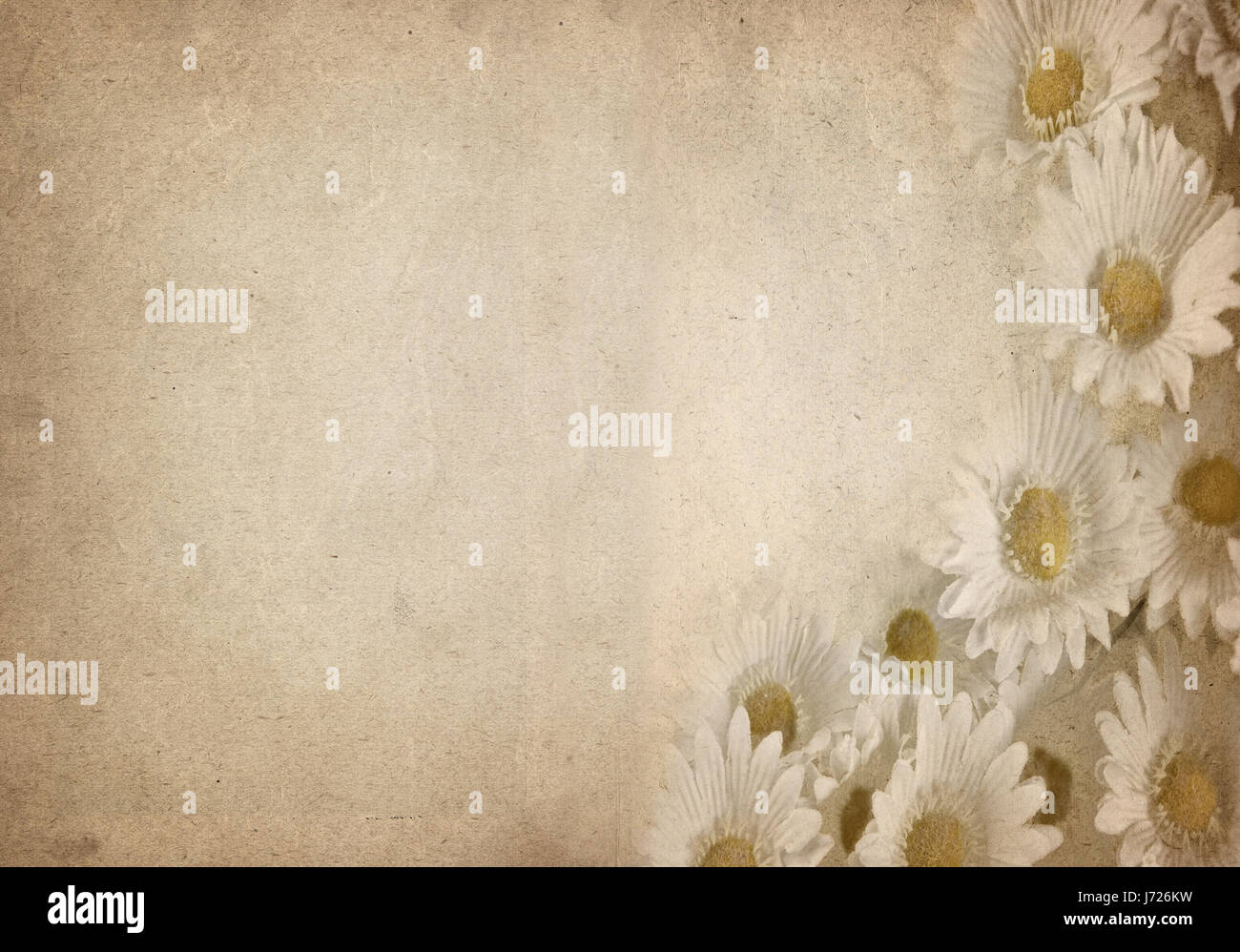 antique flower flowers plant old sheet of paper paper backdrop ...