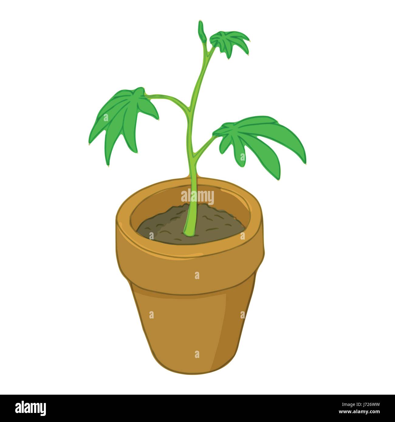 Pot marijuana icon, cartoon style Stock Vector Image & Art - Alamy