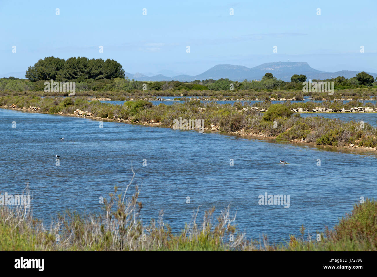 salt lakes Ses Salines de Llevant near Colonia Sant Jordi, Majorca ...