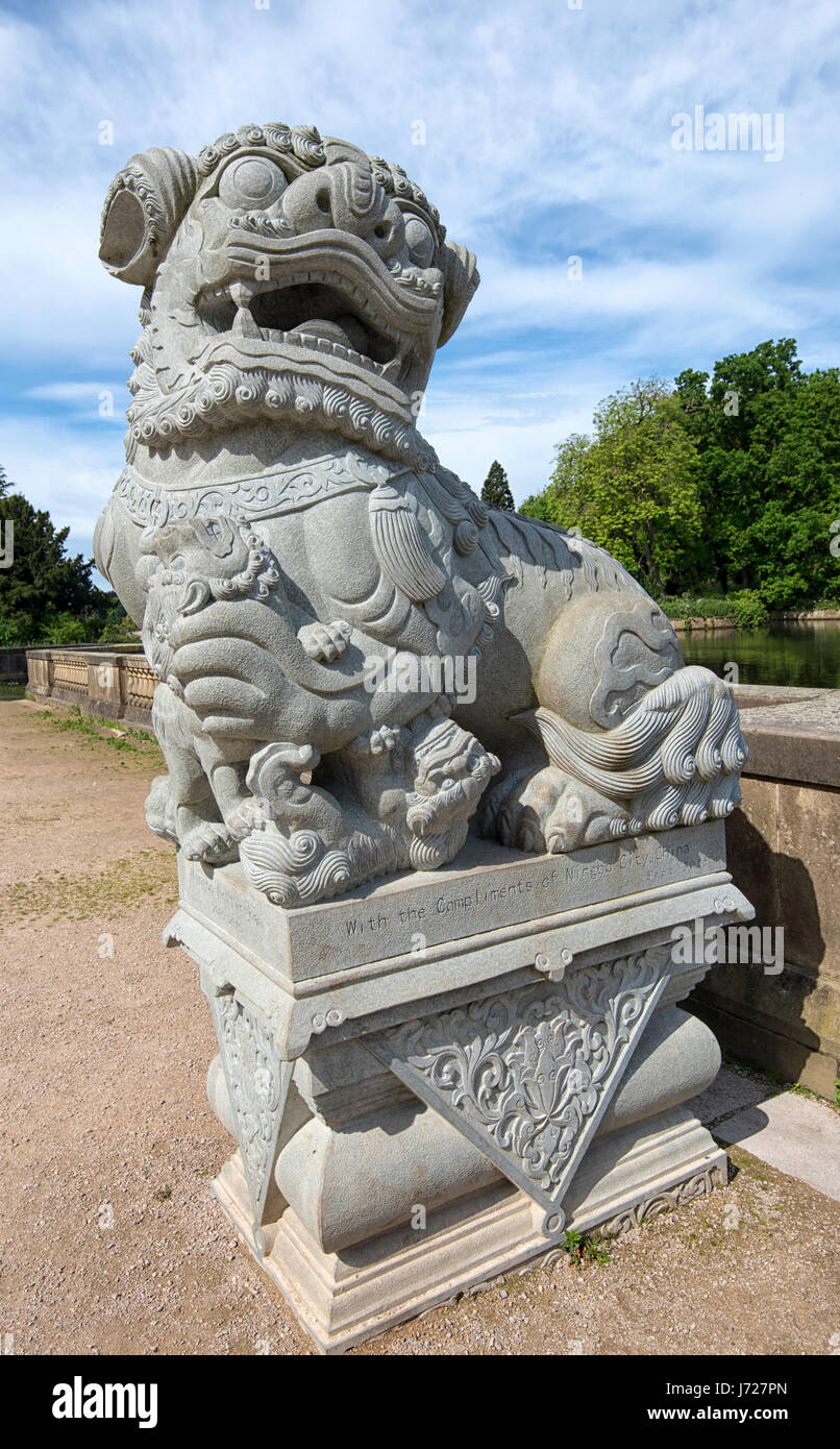 Lion campus hi-res stock photography and images - Alamy