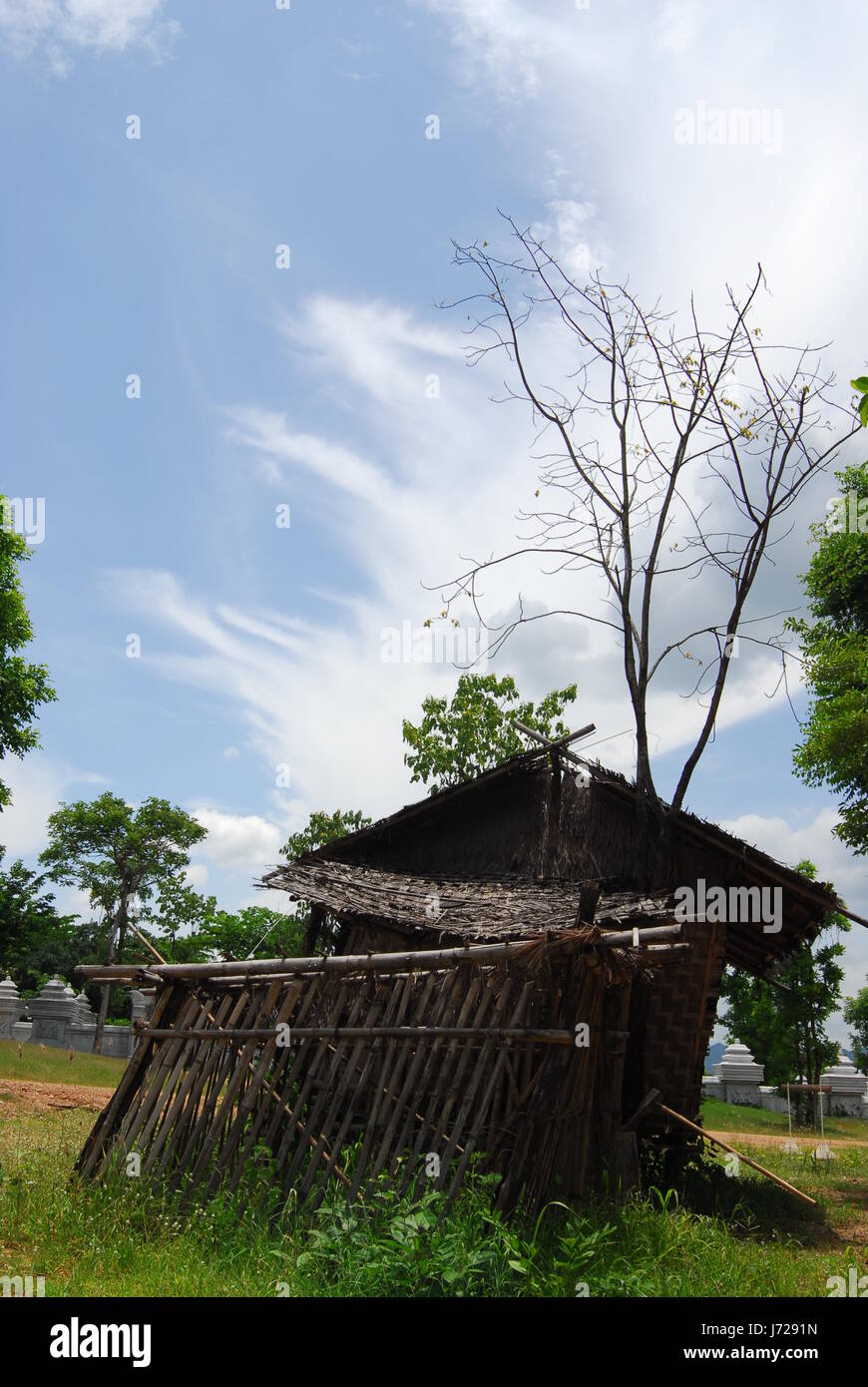 dry grass roof with cottage house Stock Photo - Alamy