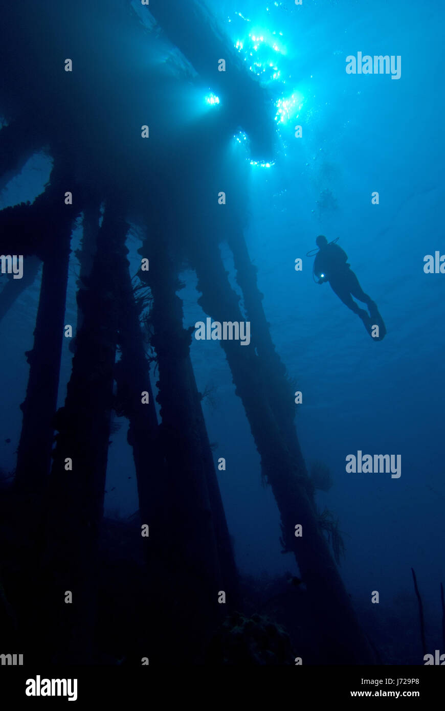 underwater counter-light against-the-light shot diver underwater ...