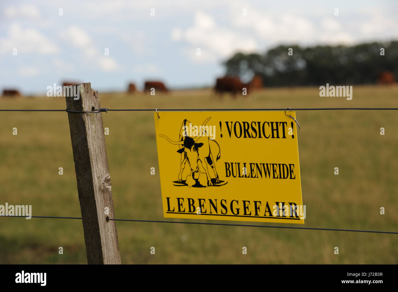 Danger sign for bulls hi-res stock photography and images - Alamy